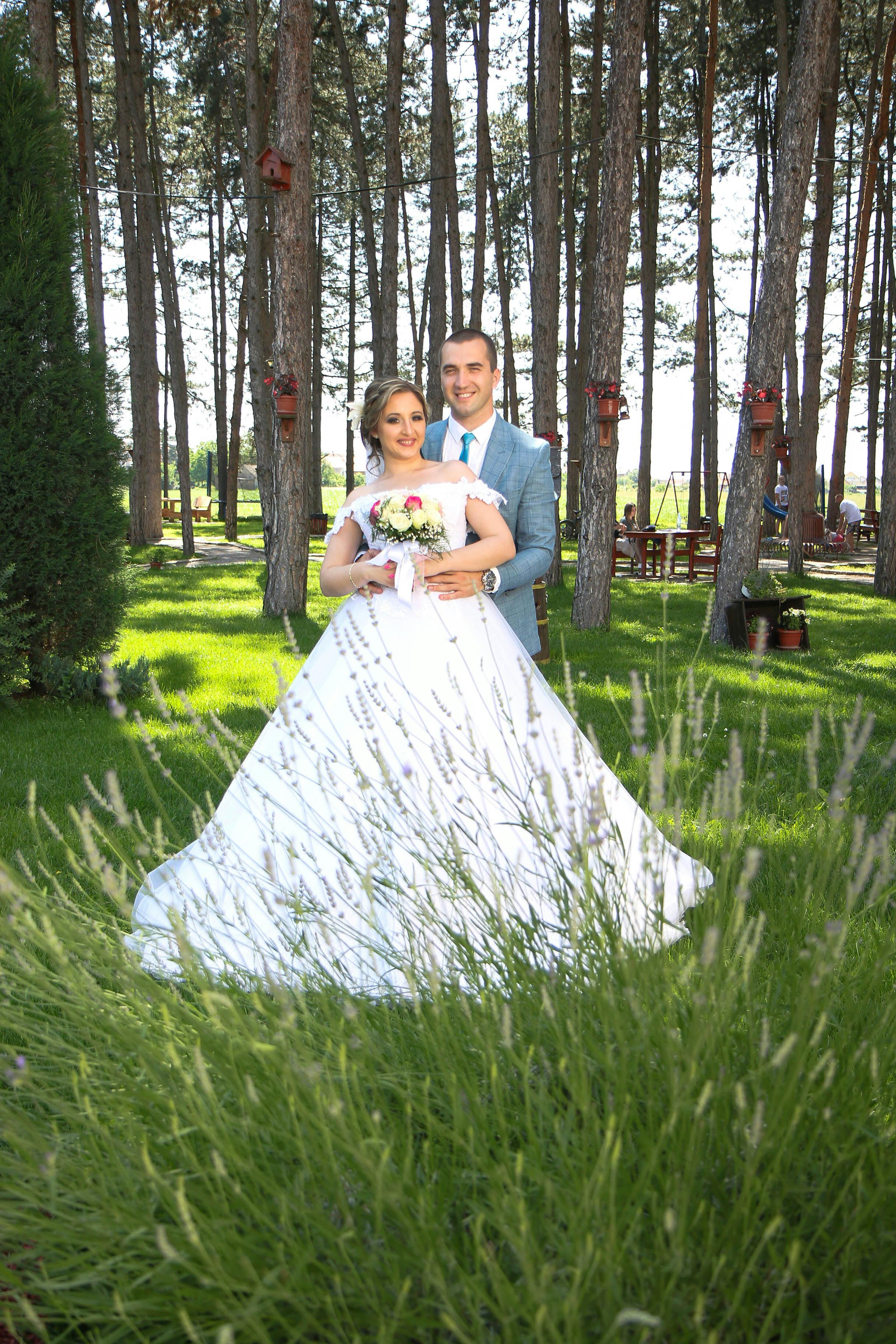 Vladimir Mandic - 摄影