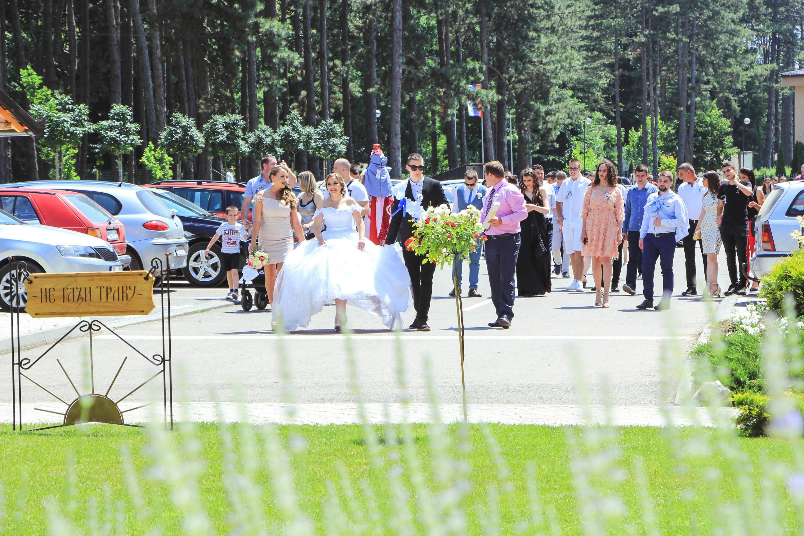 Vladimir Mandic - Photography