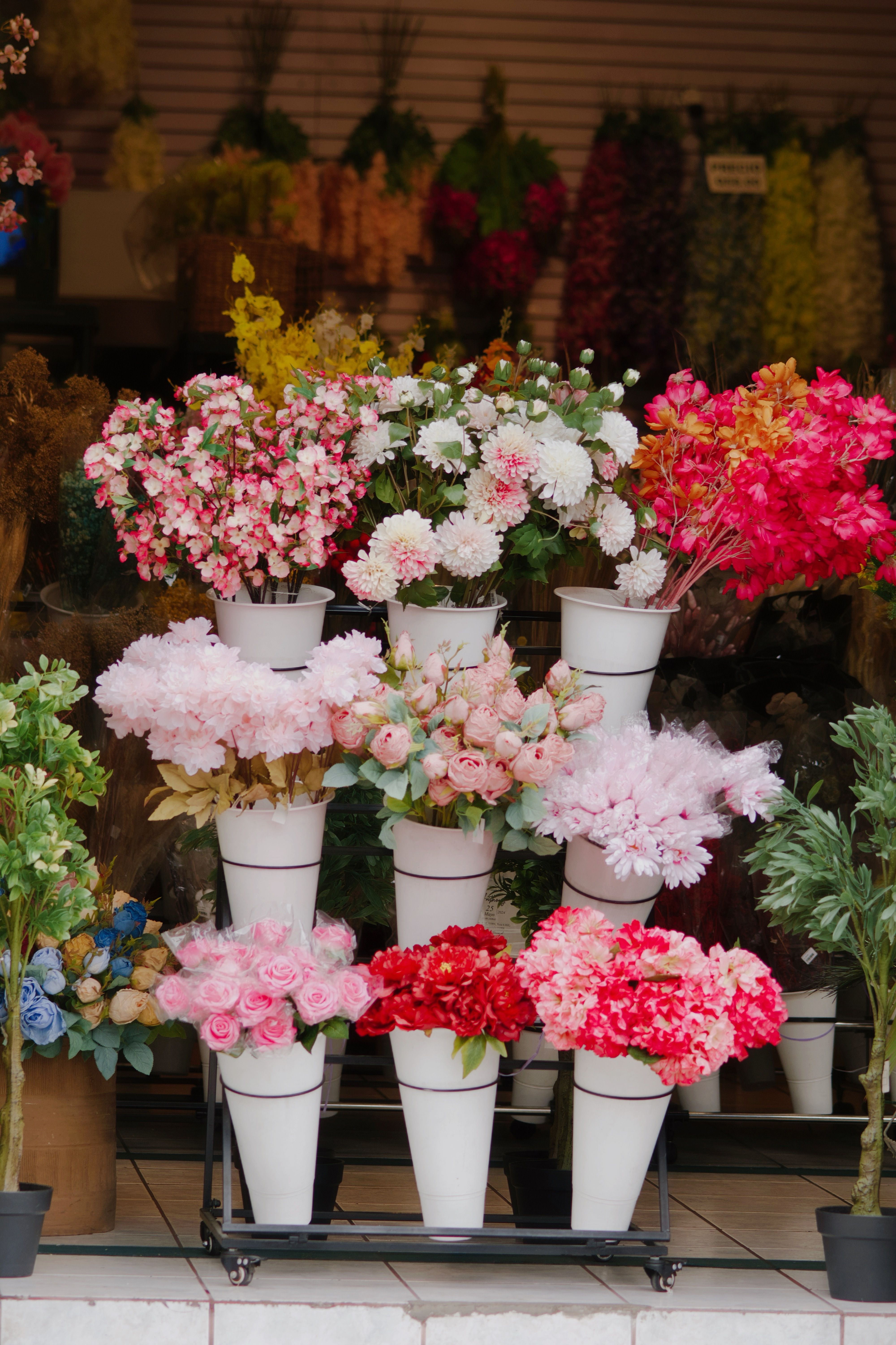 Flowers in a Store · Free Stock Photo
