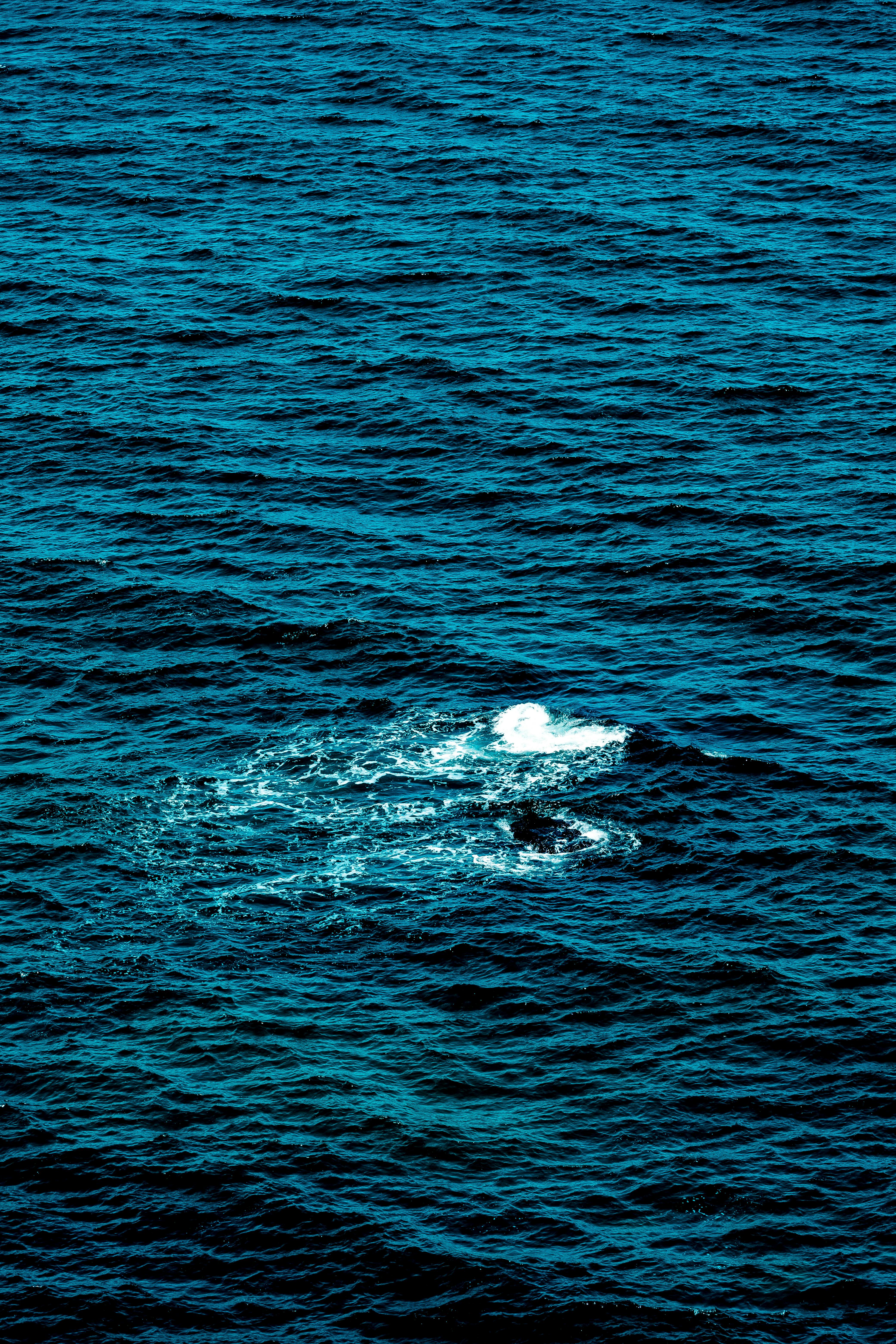 Ripples in Ocean · Free Stock Photo