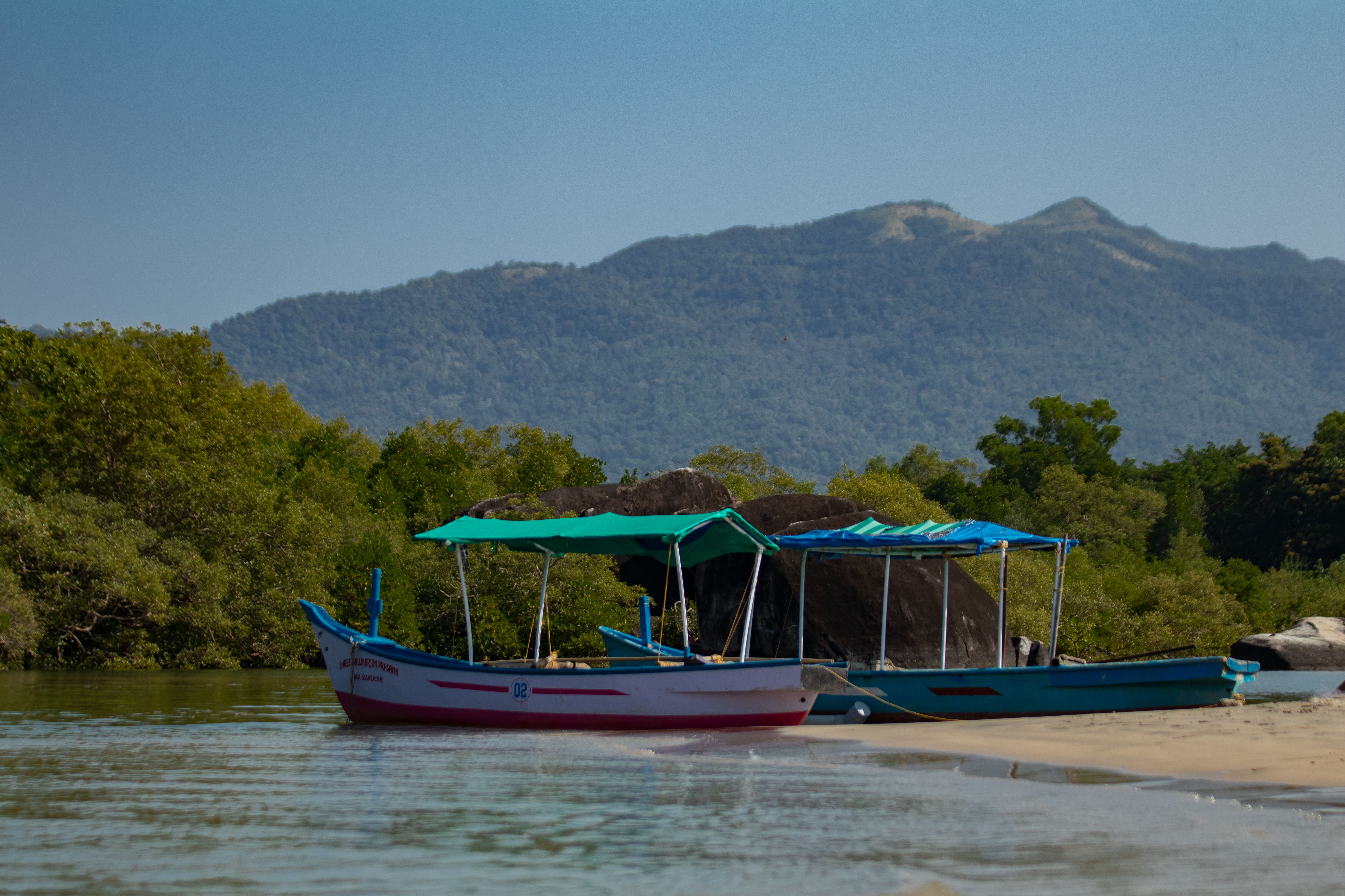 Boats on Riverbank with Forest and Mountain behind · Free Stock Photo
