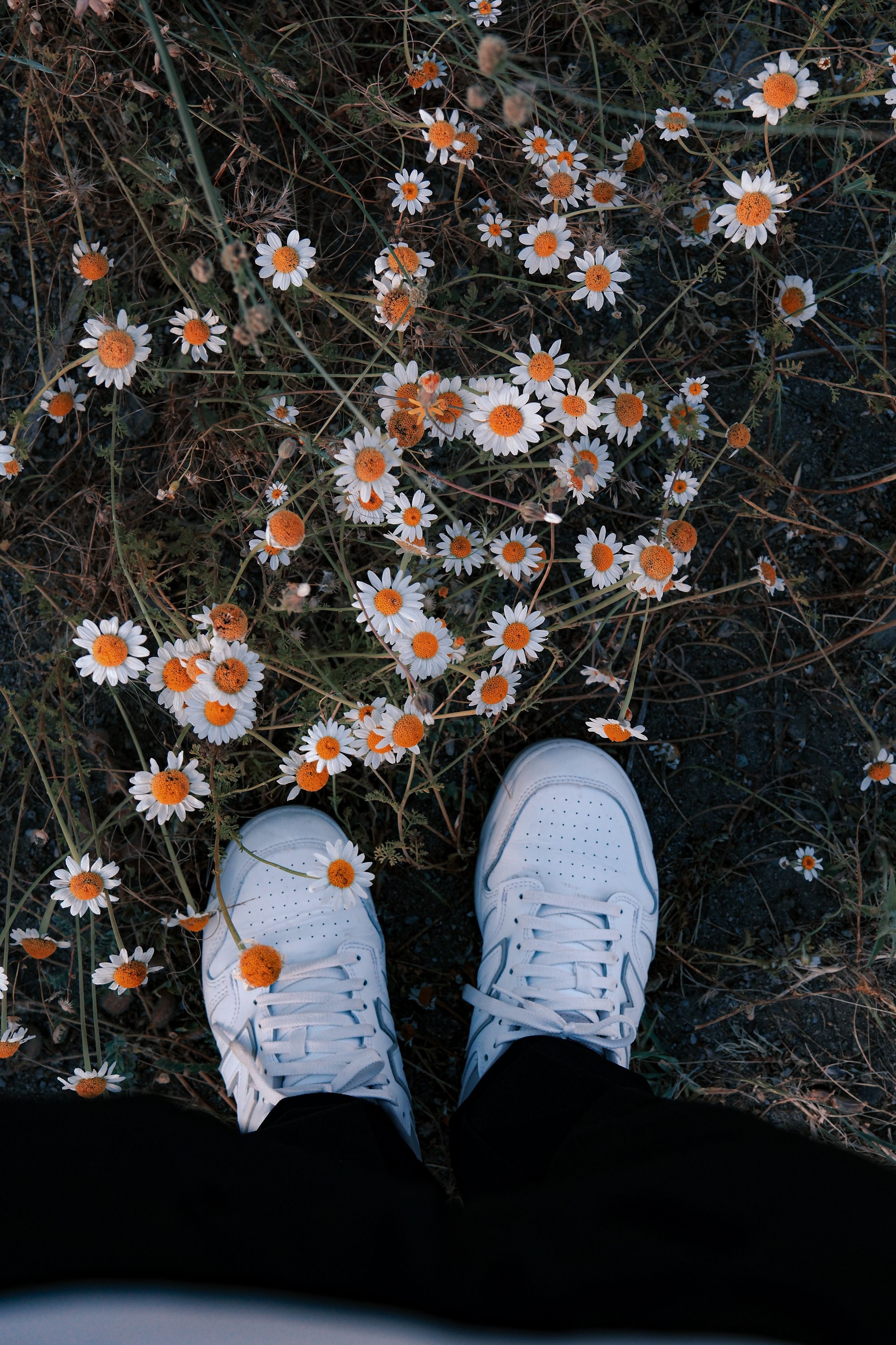 People Standing Photos, Download The BEST Free People Standing Stock ...