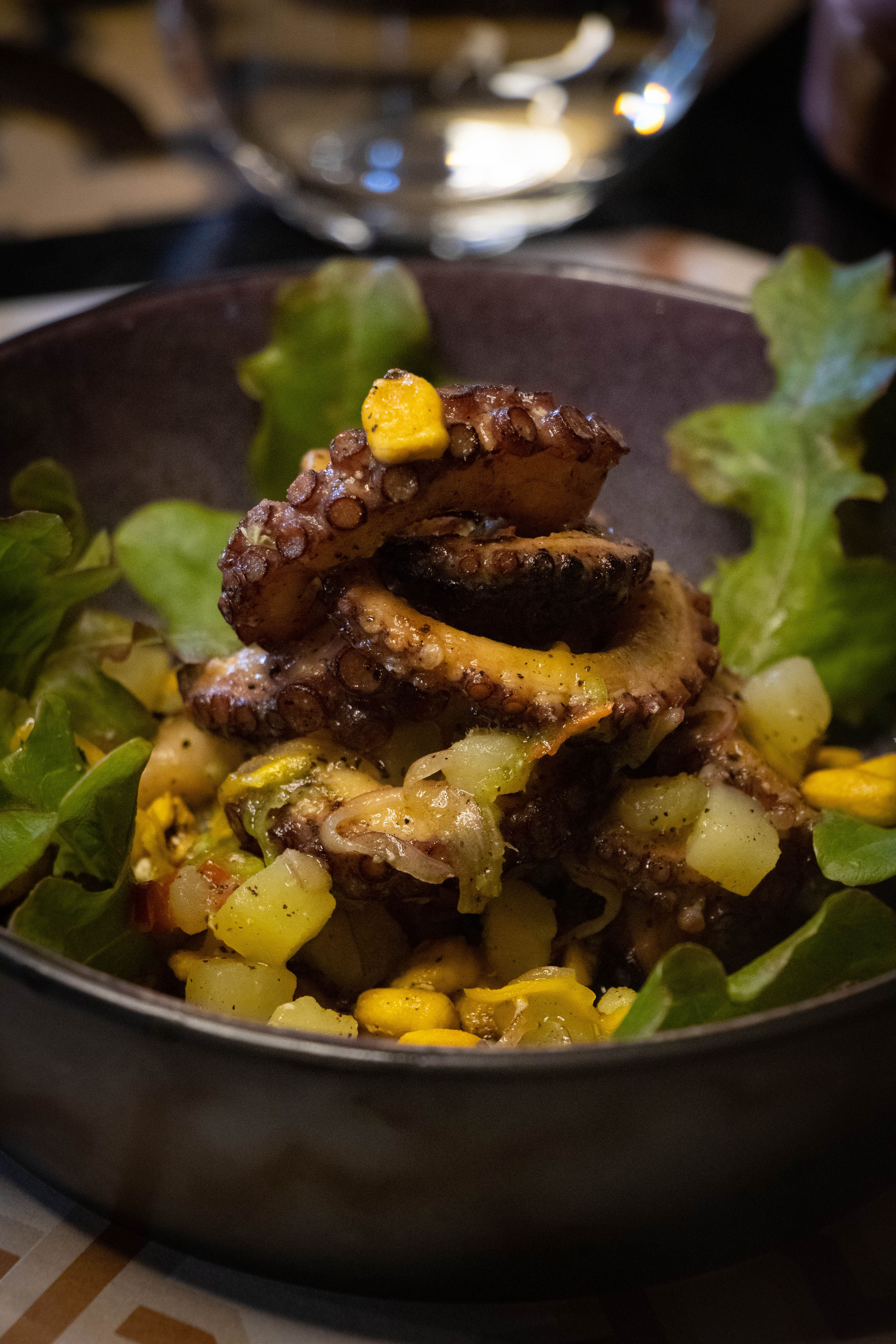 Dish with Octopus in a Black Bowl · Free Stock Photo