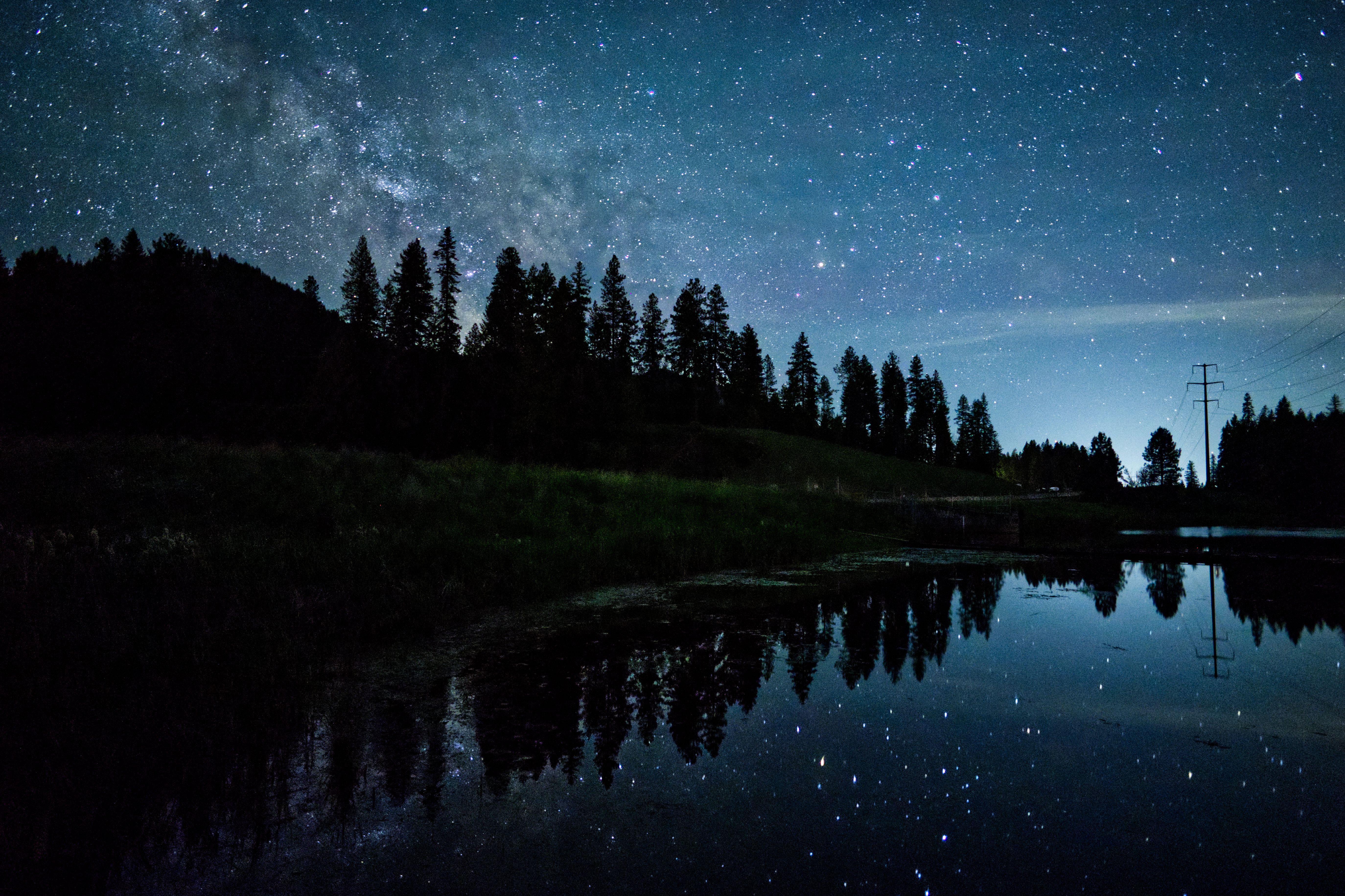Stars in Summer · Free Stock Photo