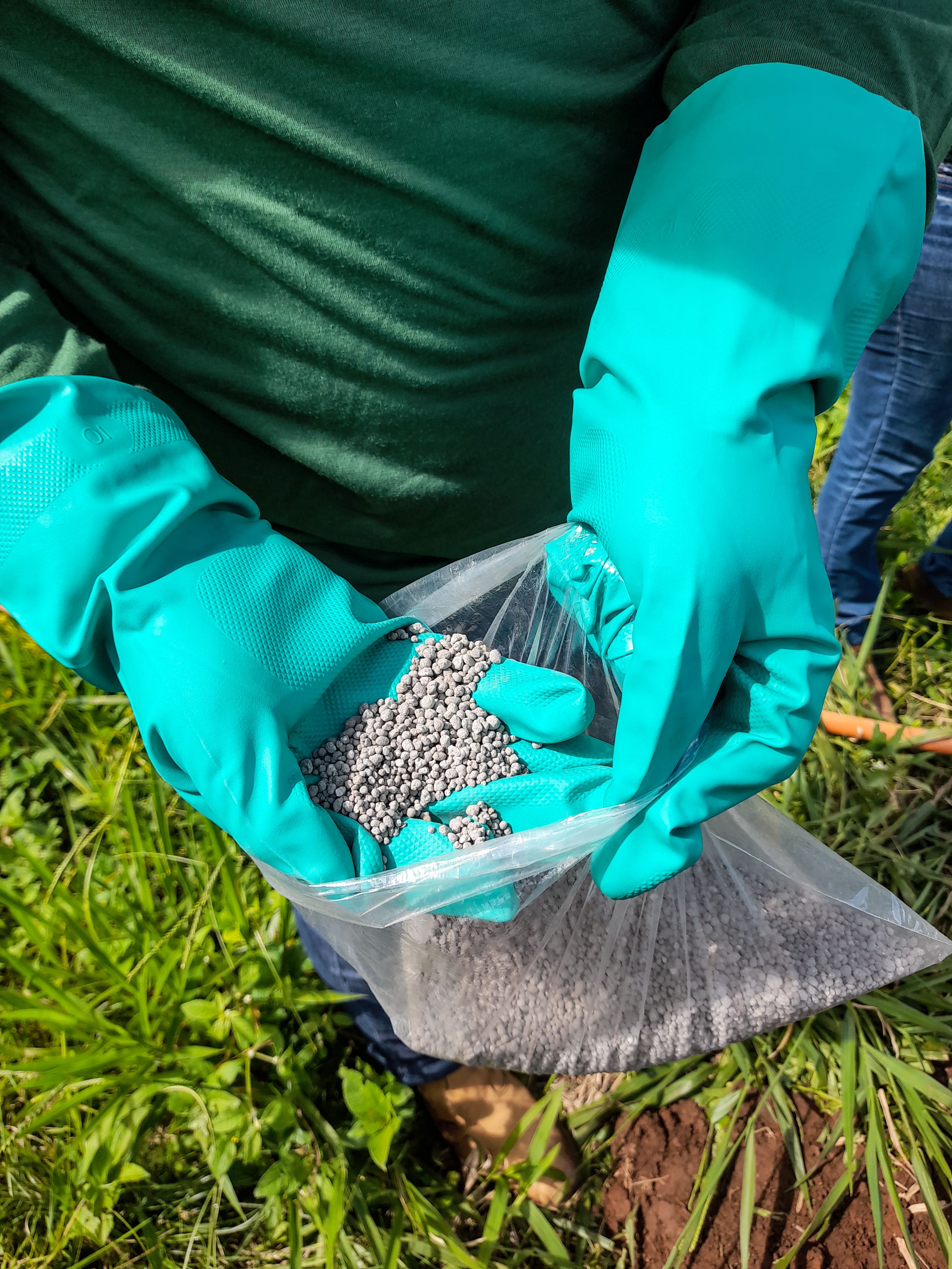 Fertilizer Photos, Download The BEST Free Fertilizer Stock Photos & HD ...
