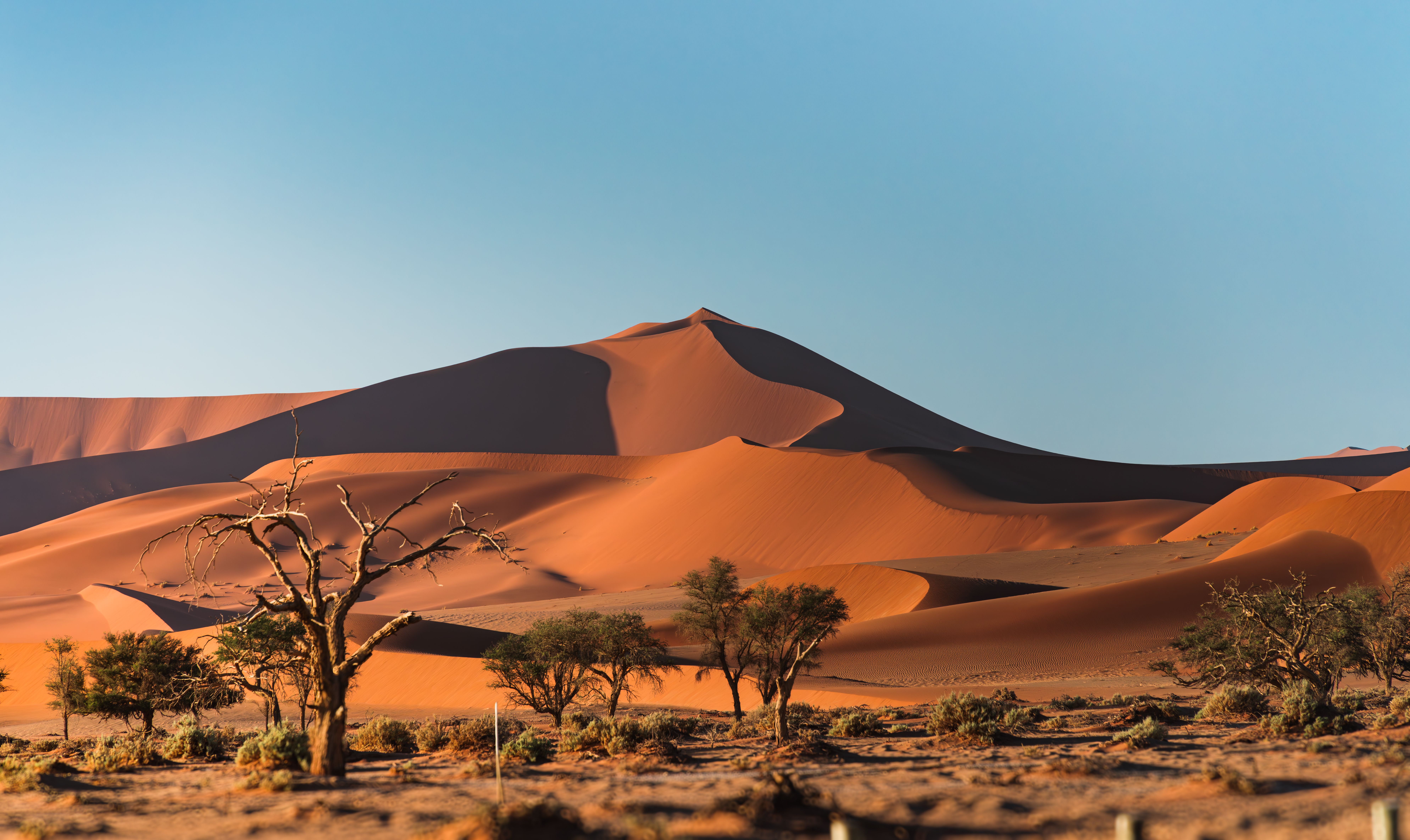 Dunas Doradas Del Desierto Del Sahara Al Atardecer · Foto de stock gratuita