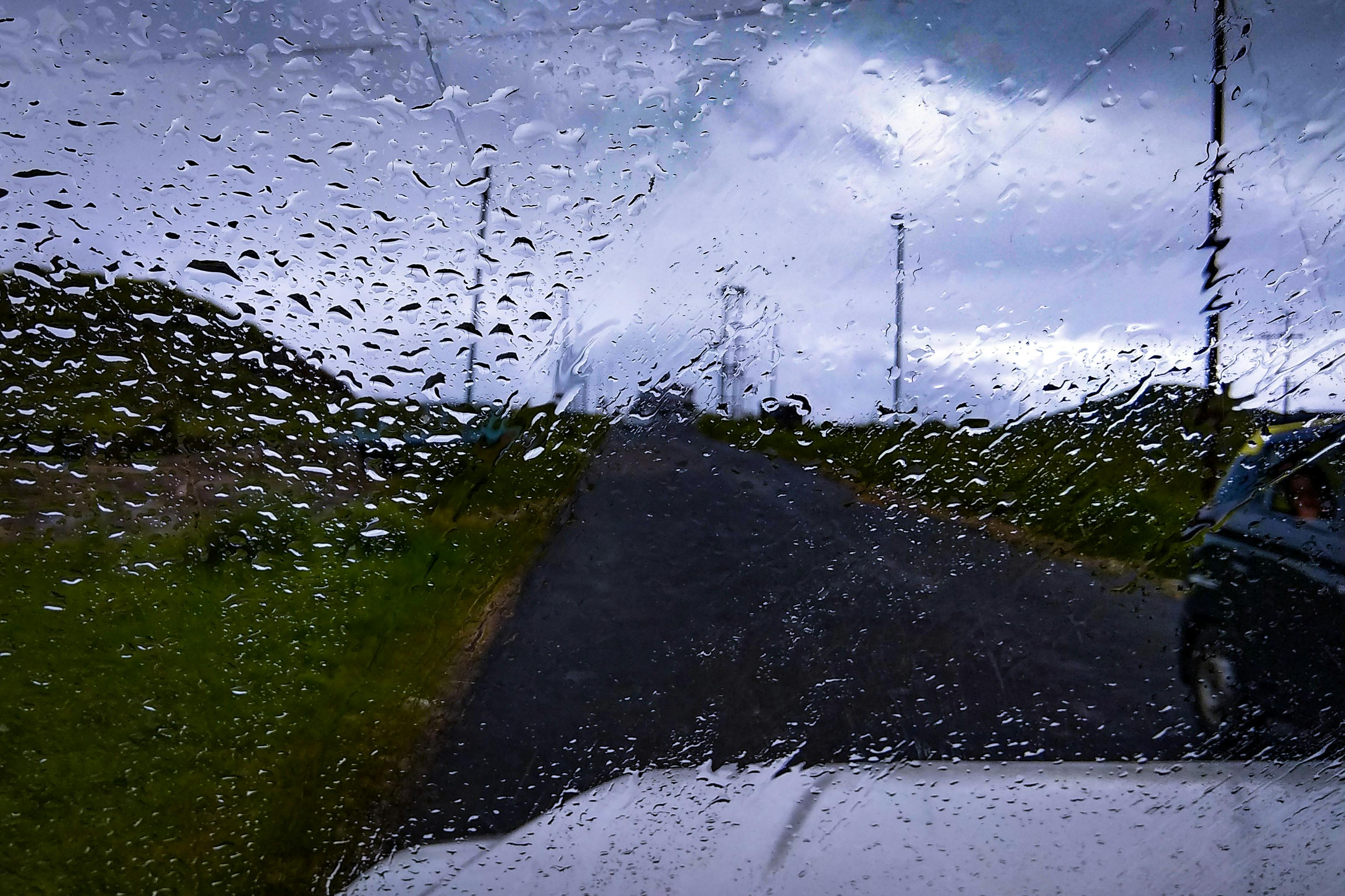 Free stock photo of nature, rainy day, waterdrops