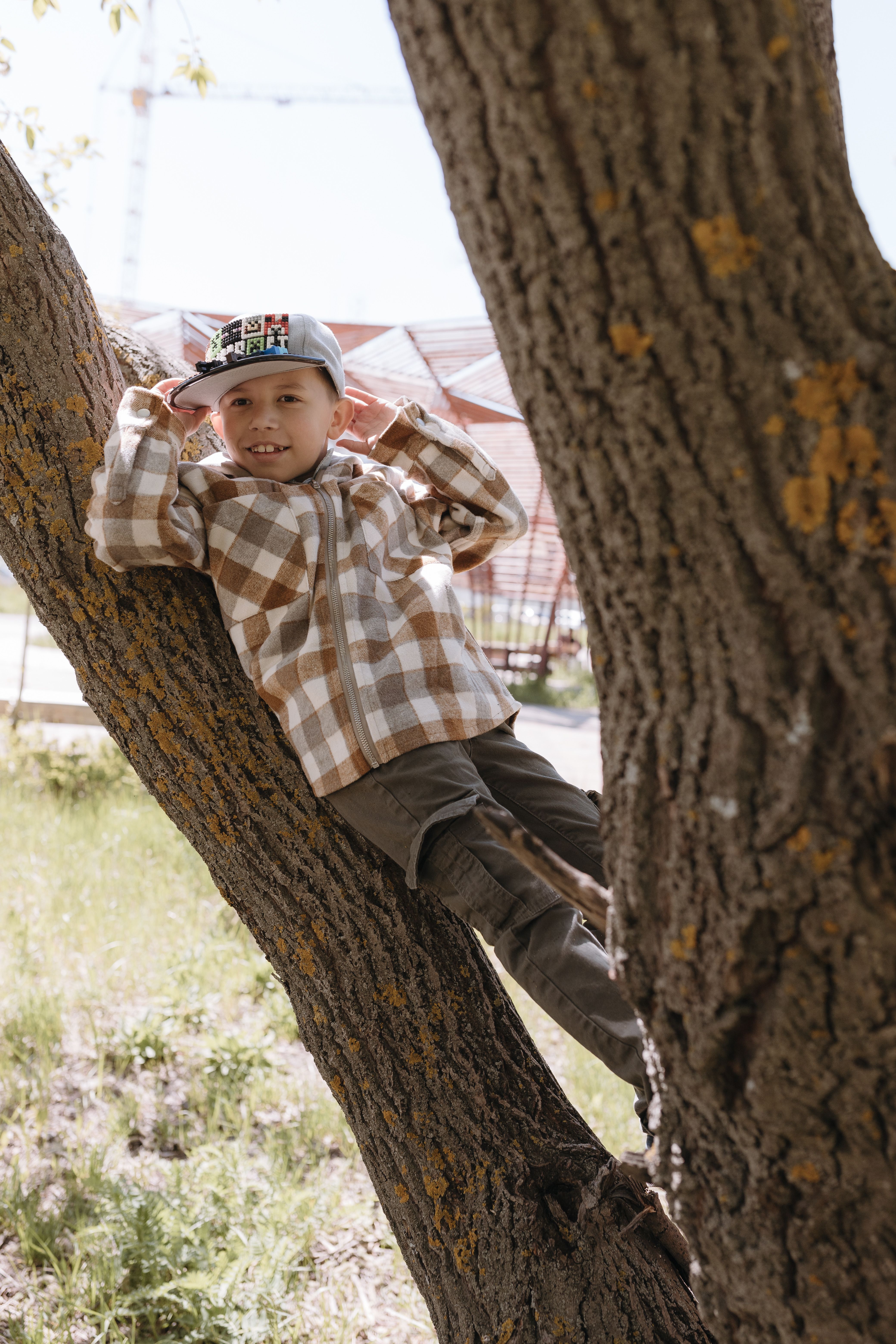 A Little Boy Standing on a Tree Branch · Free Stock Photo
