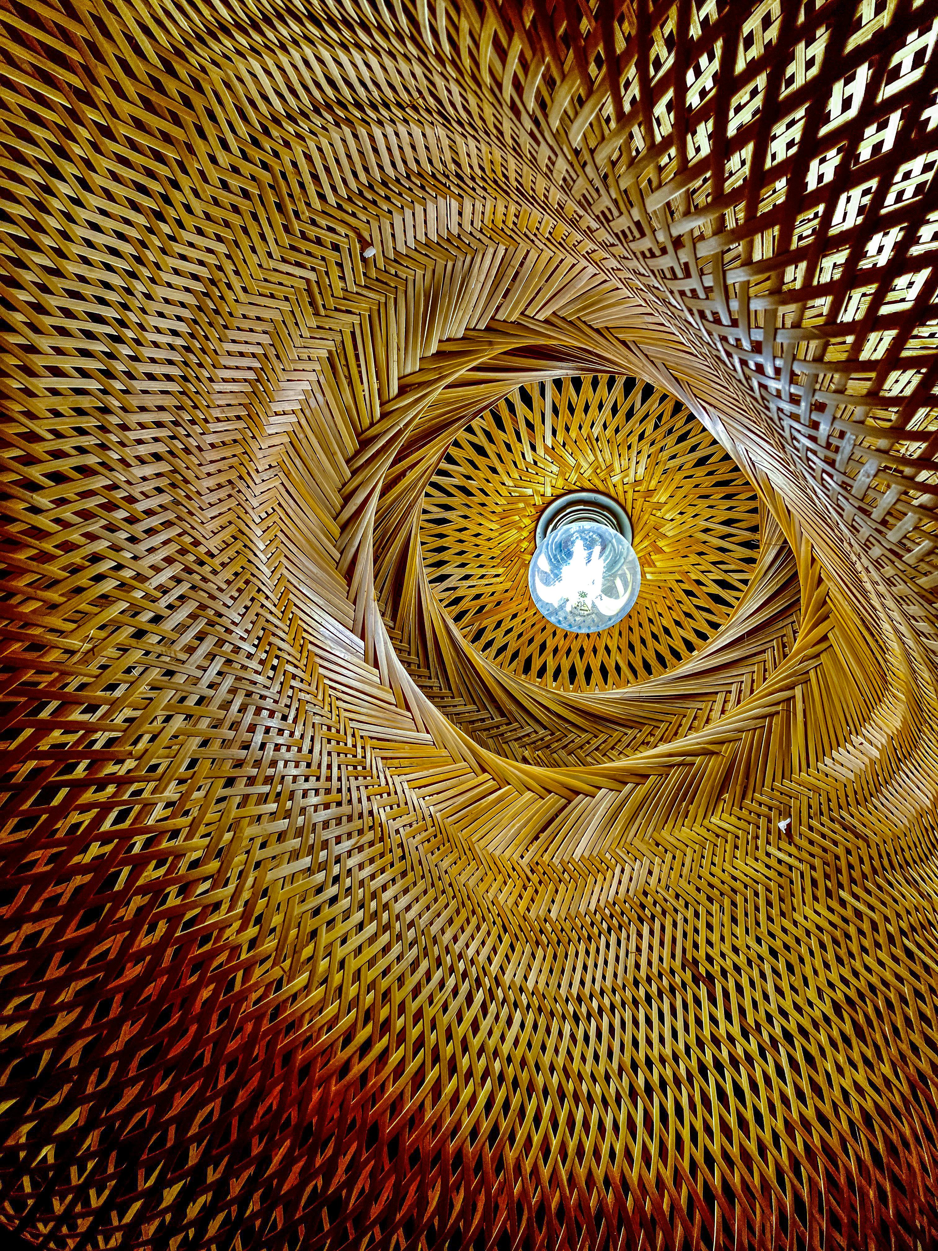 Intertwining · Free Stock Photo