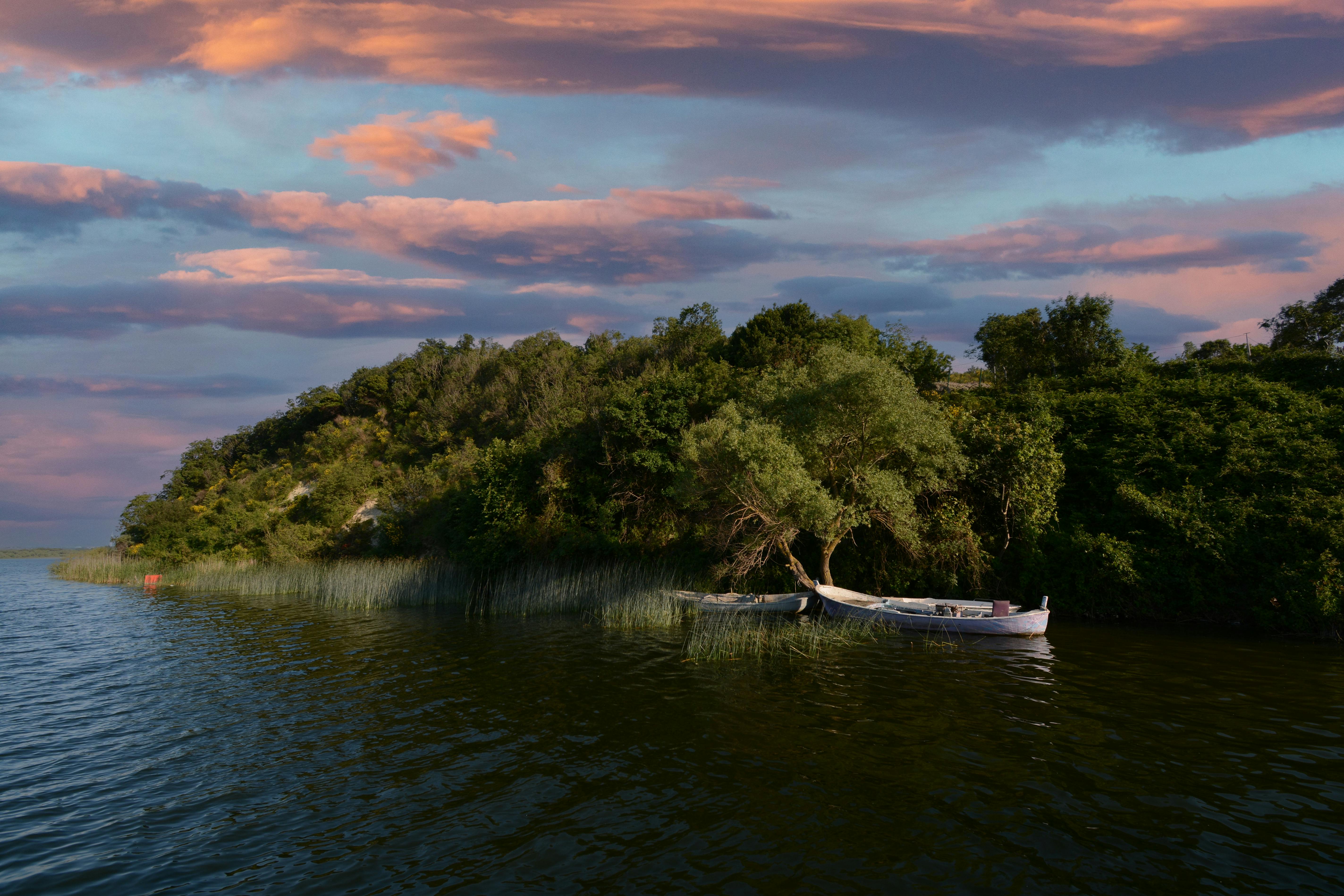 Ozden Ozpehlivan - 사진