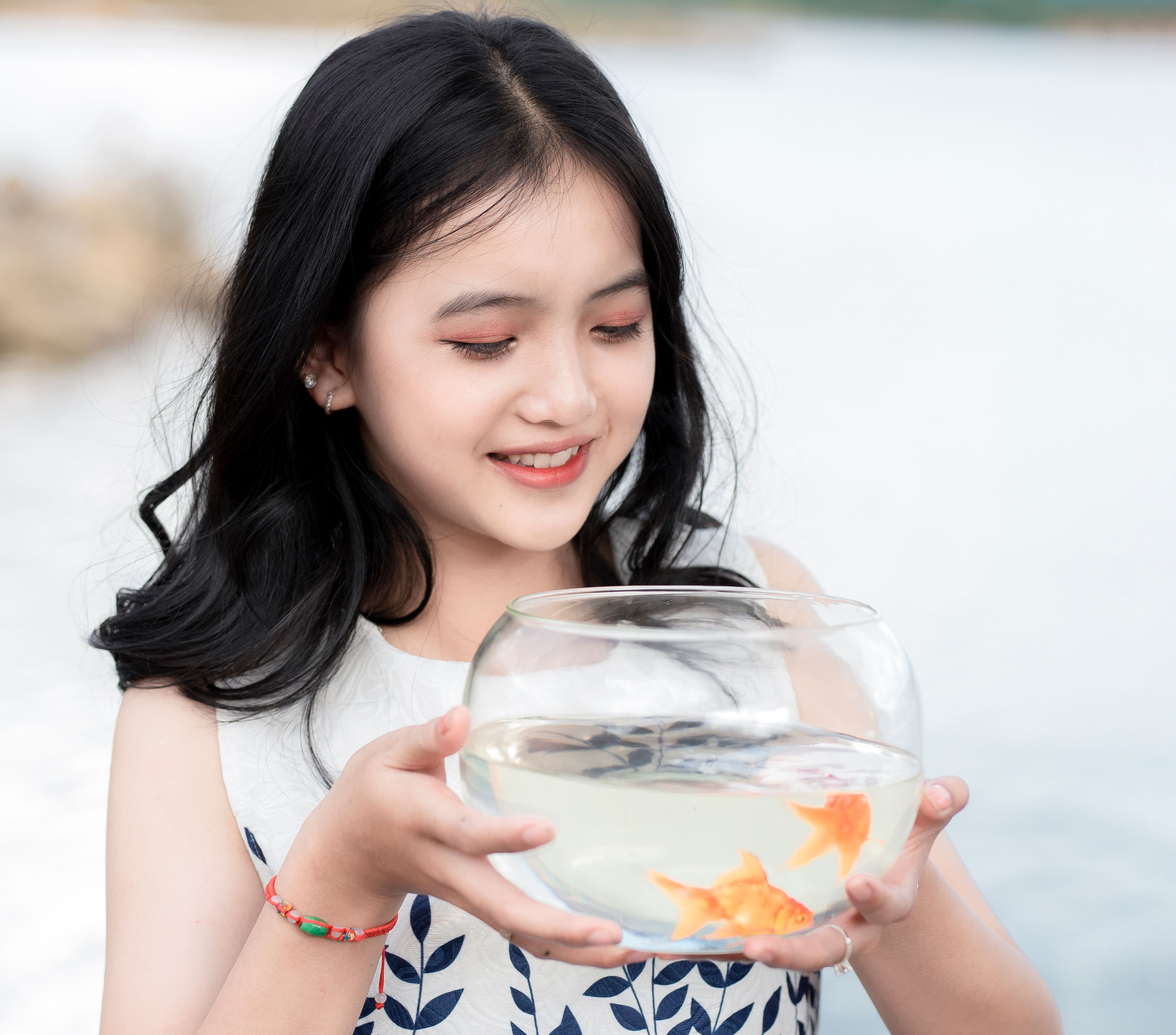 Free stock photo of fish, fish tank, girl