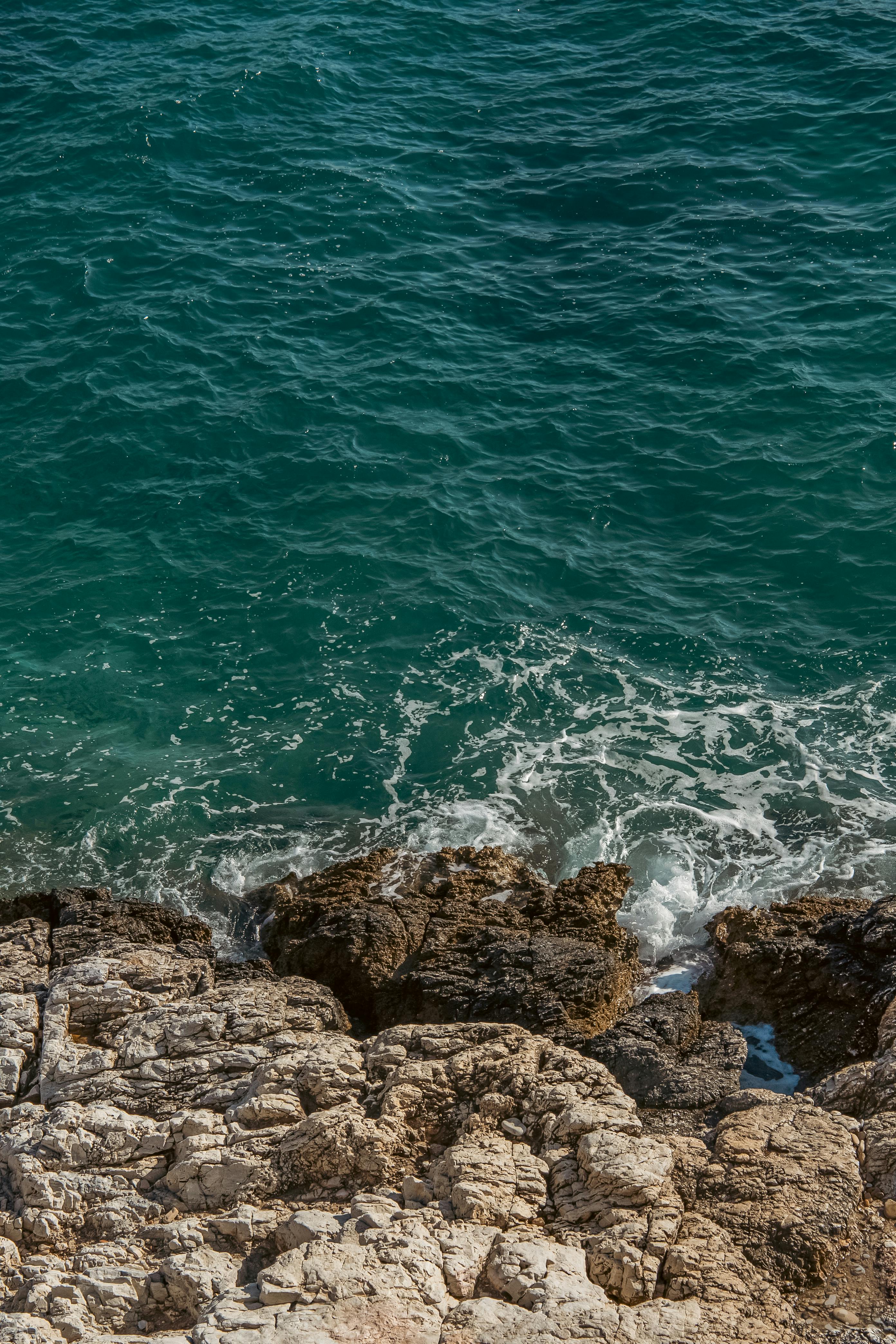 Uncut Edges Photos, Download The BEST Free Uncut Edges Stock Photos ...