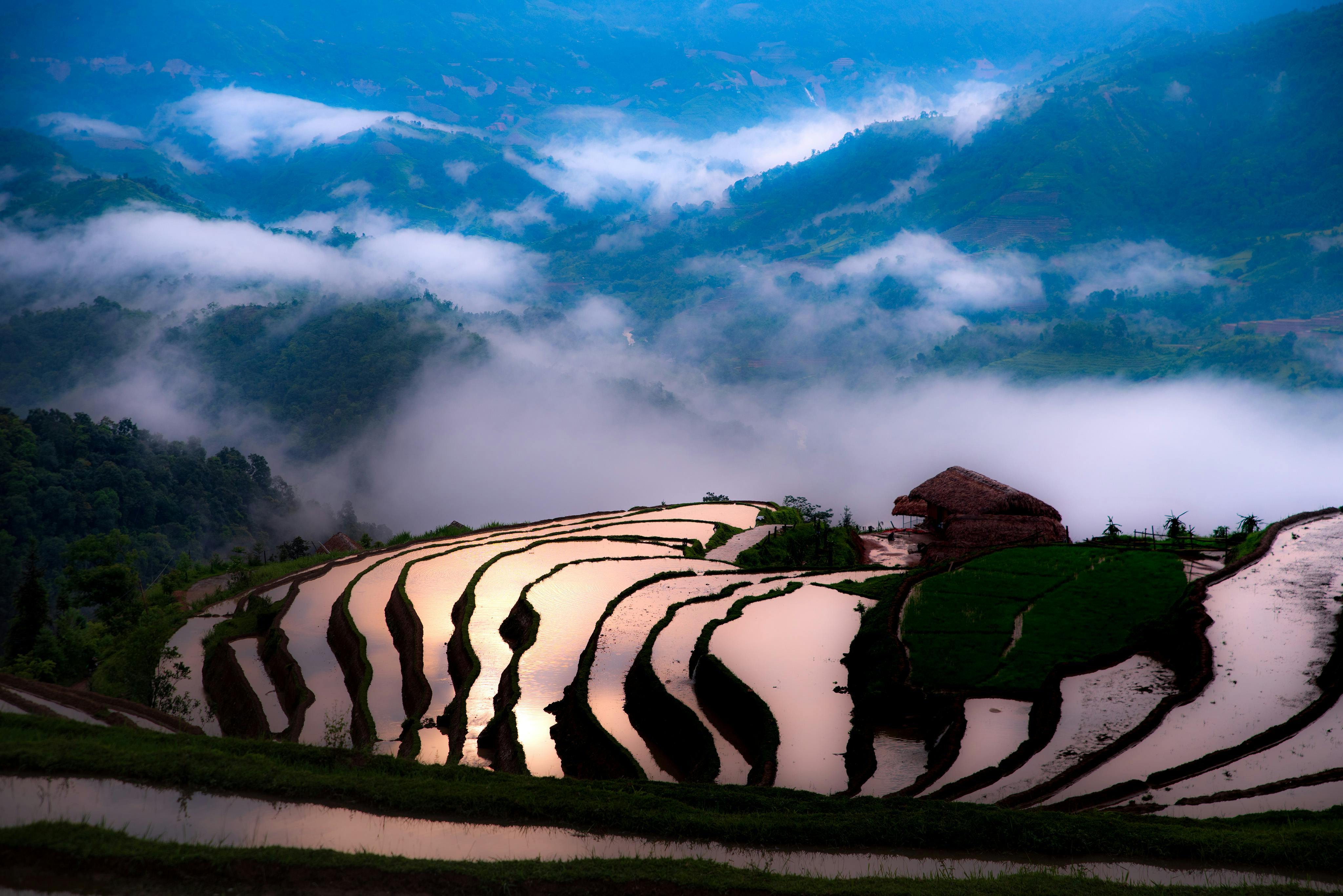 Scenic View of Rice Terraces · Free Stock Photo