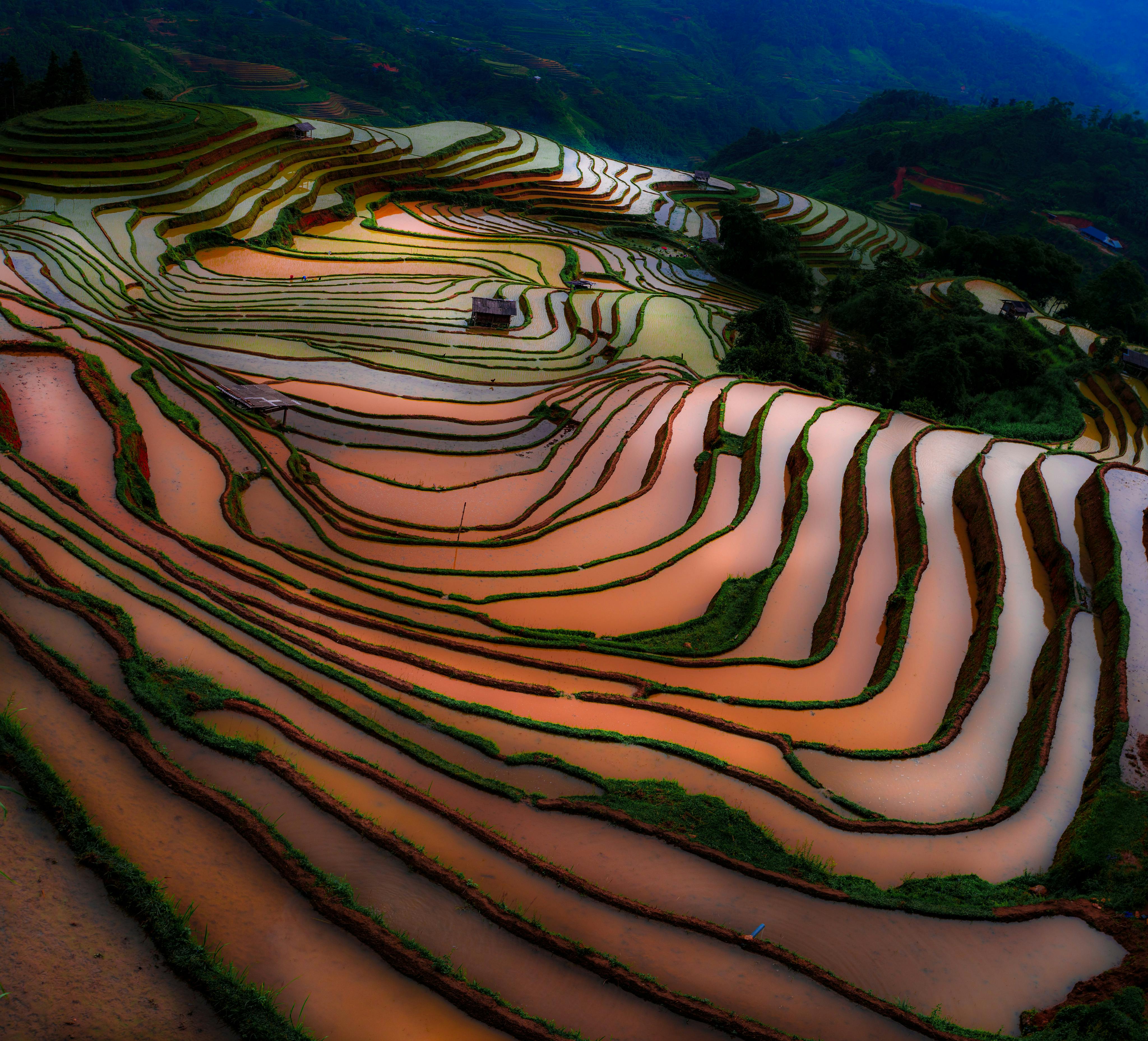 Shellfish Farming Photos, Download The BEST Free Shellfish Farming ...