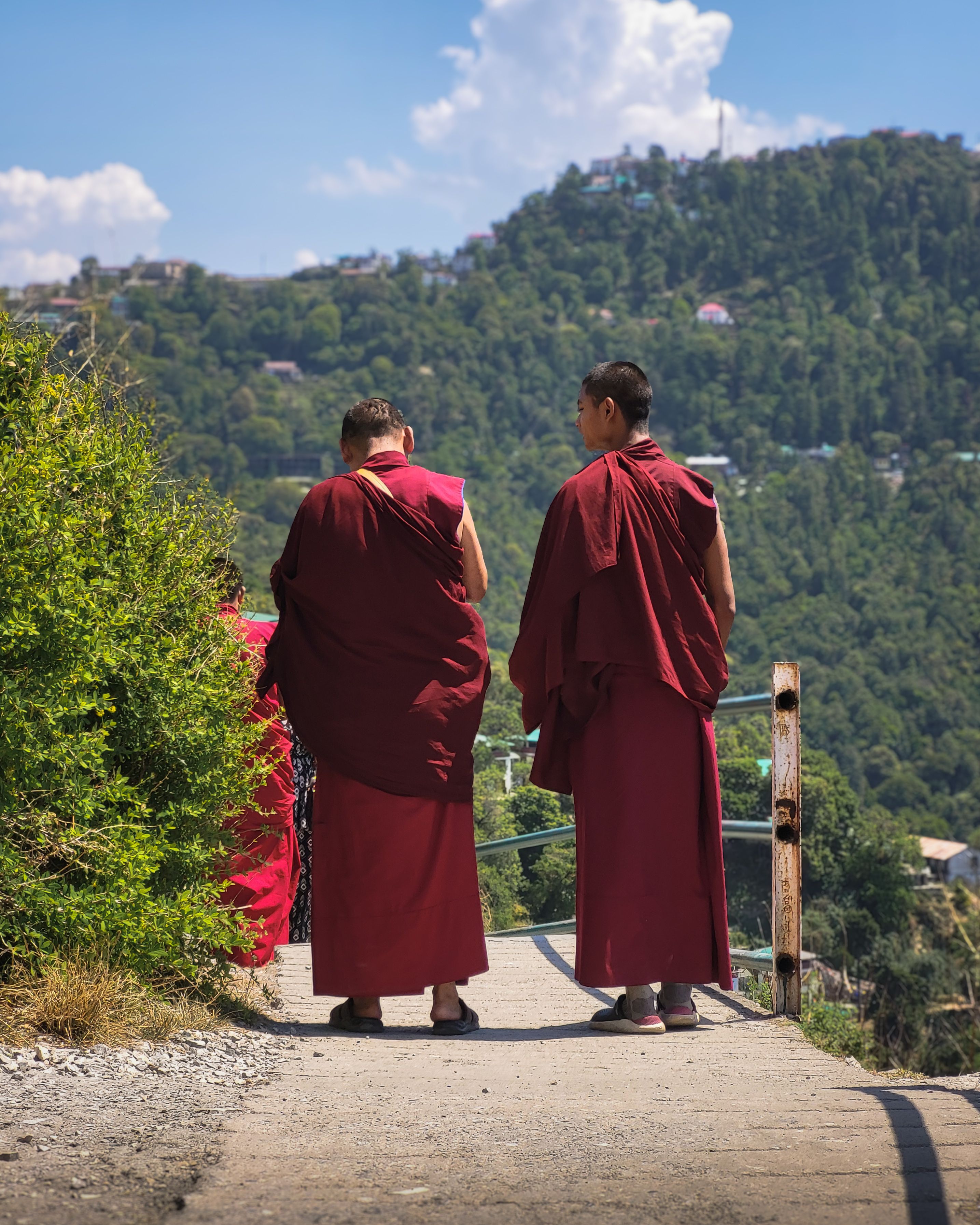 Back View of Monks Walking on the Boardwalk in the Mountains · Free ...