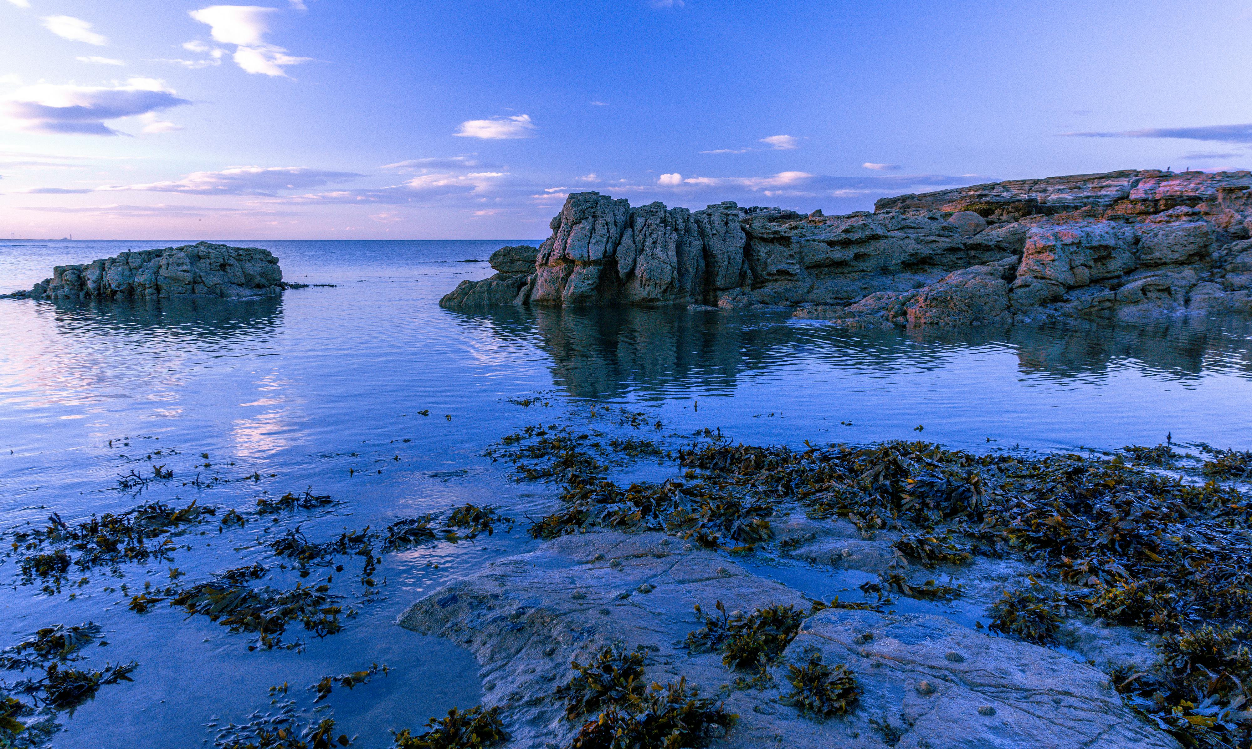 Rocks on Calm Seashore at Dawn · Free Stock Photo