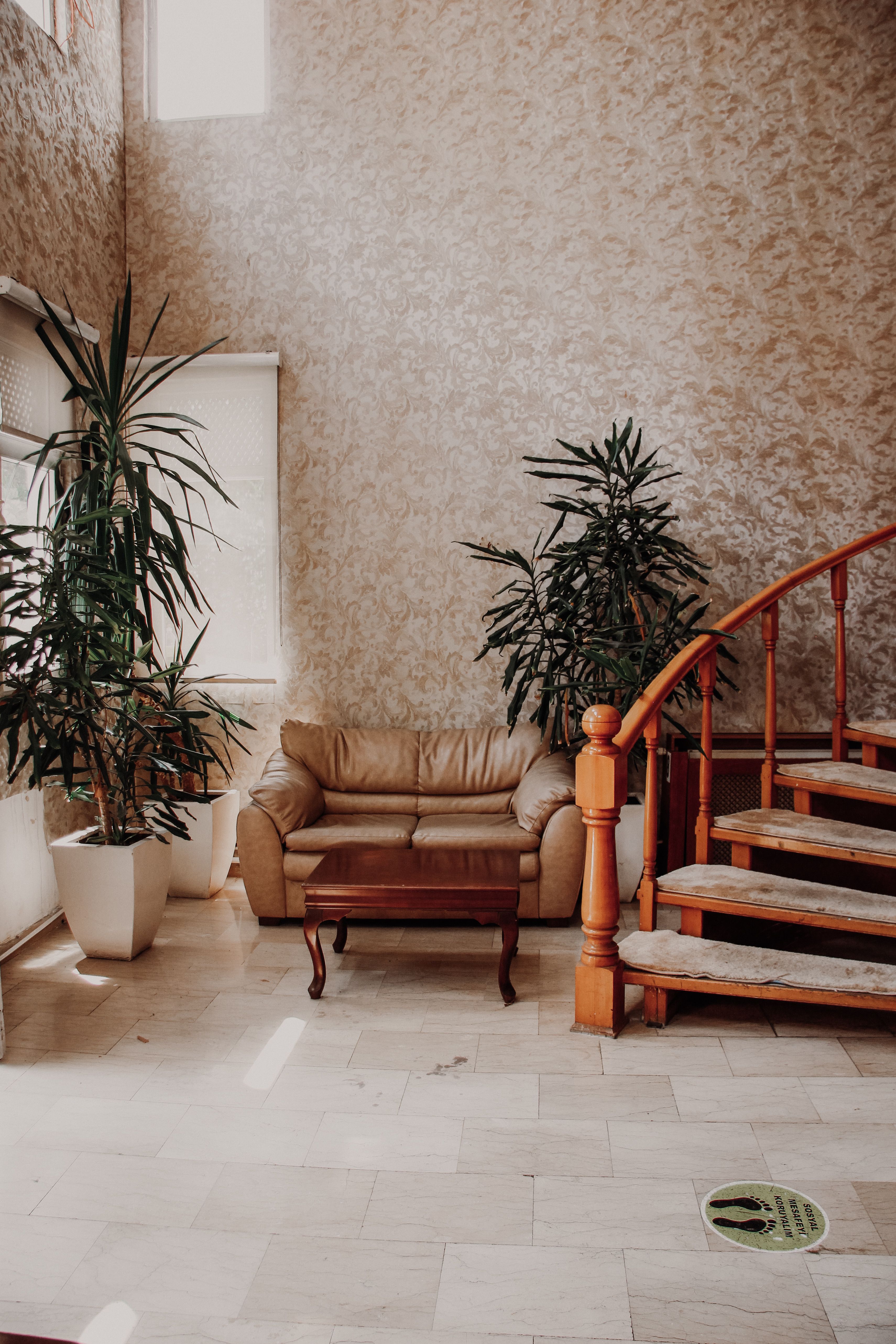 Plants around Sofa in House · Free Stock Photo