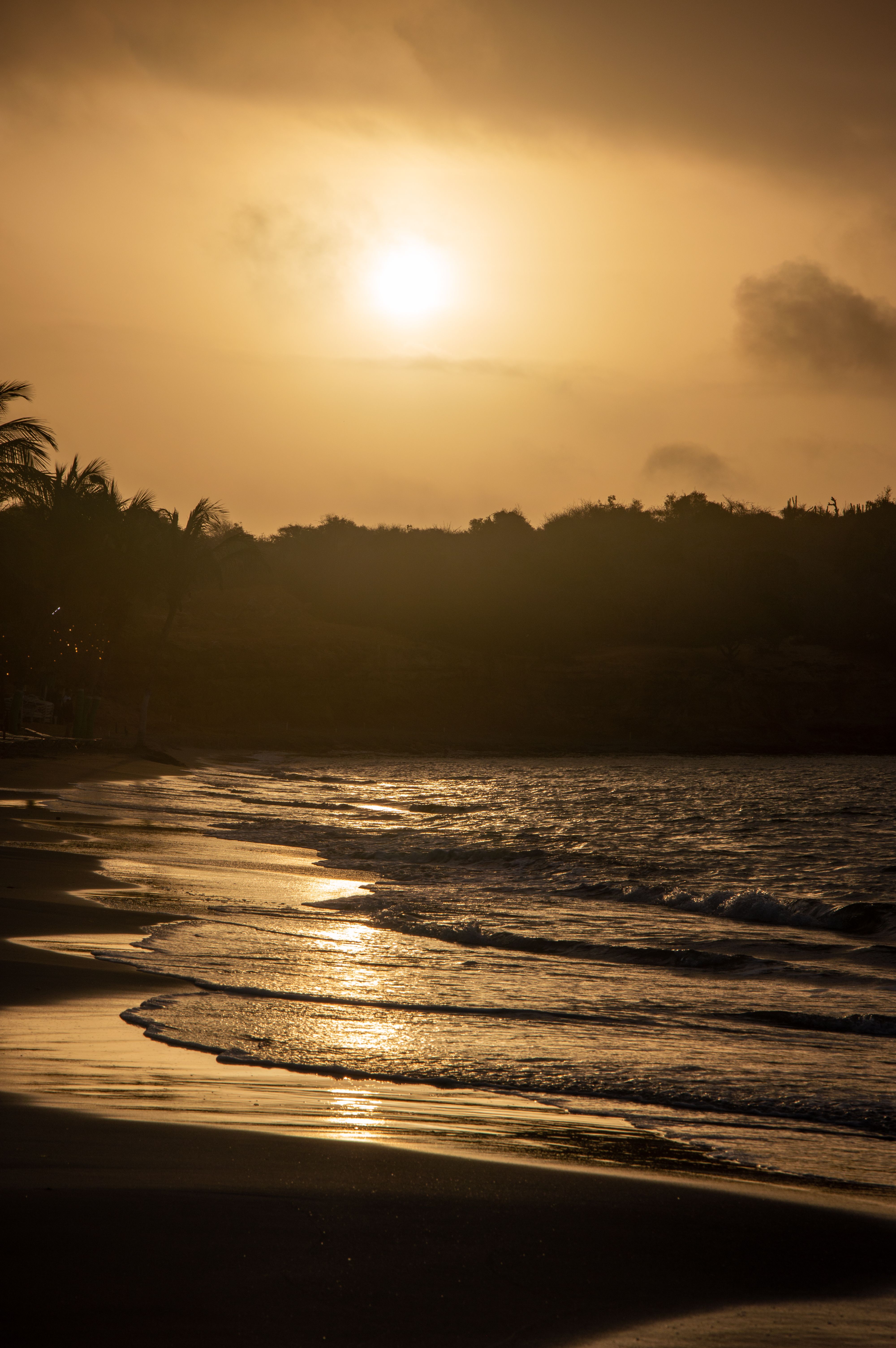 Dark Tropical Beach at Sunset · Free Stock Photo