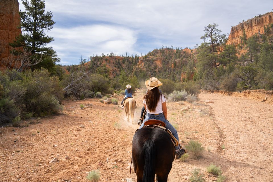 Prehistoric Horses: Evolutionary Journey Through Time