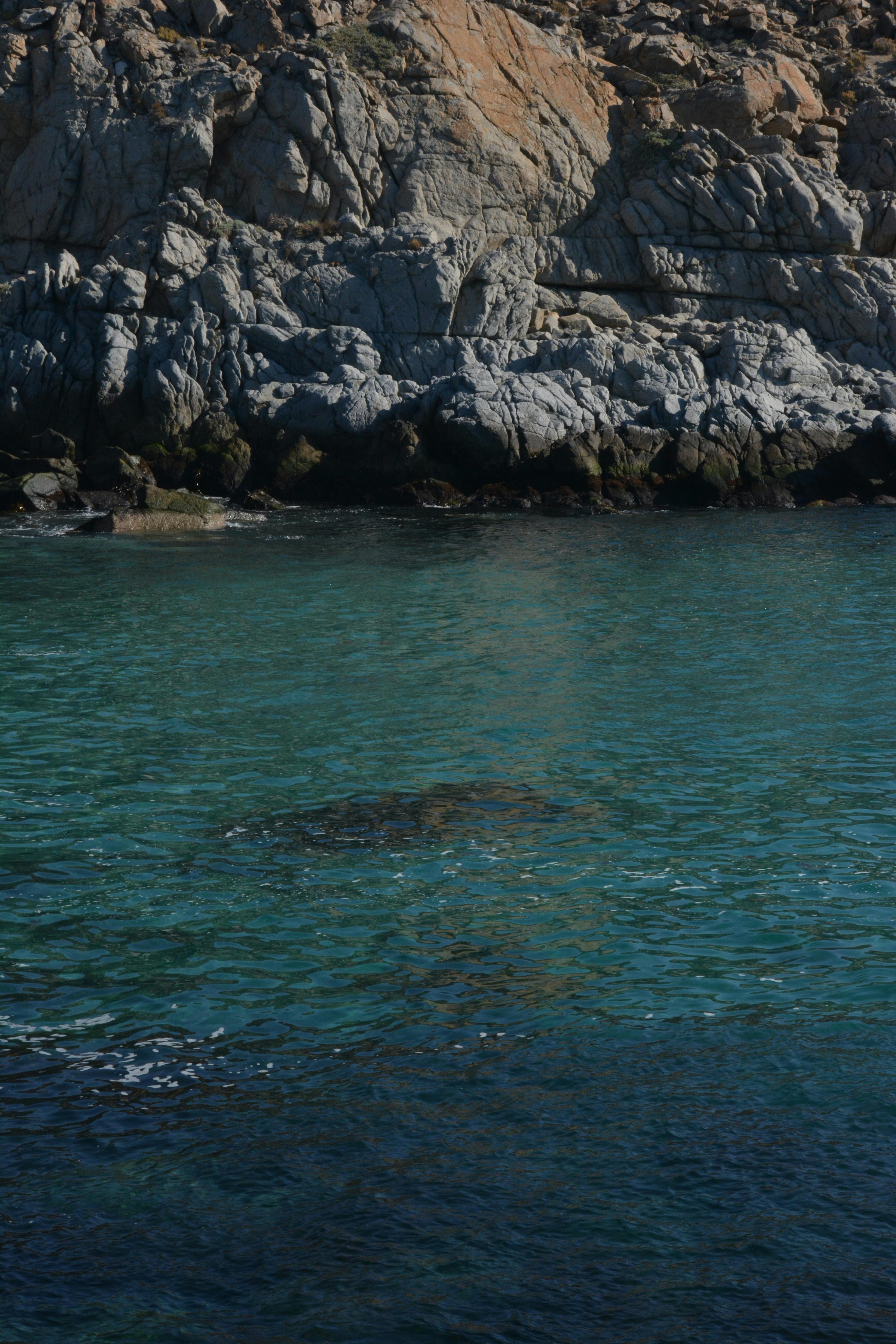 Photo of Seashore · Free Stock Photo