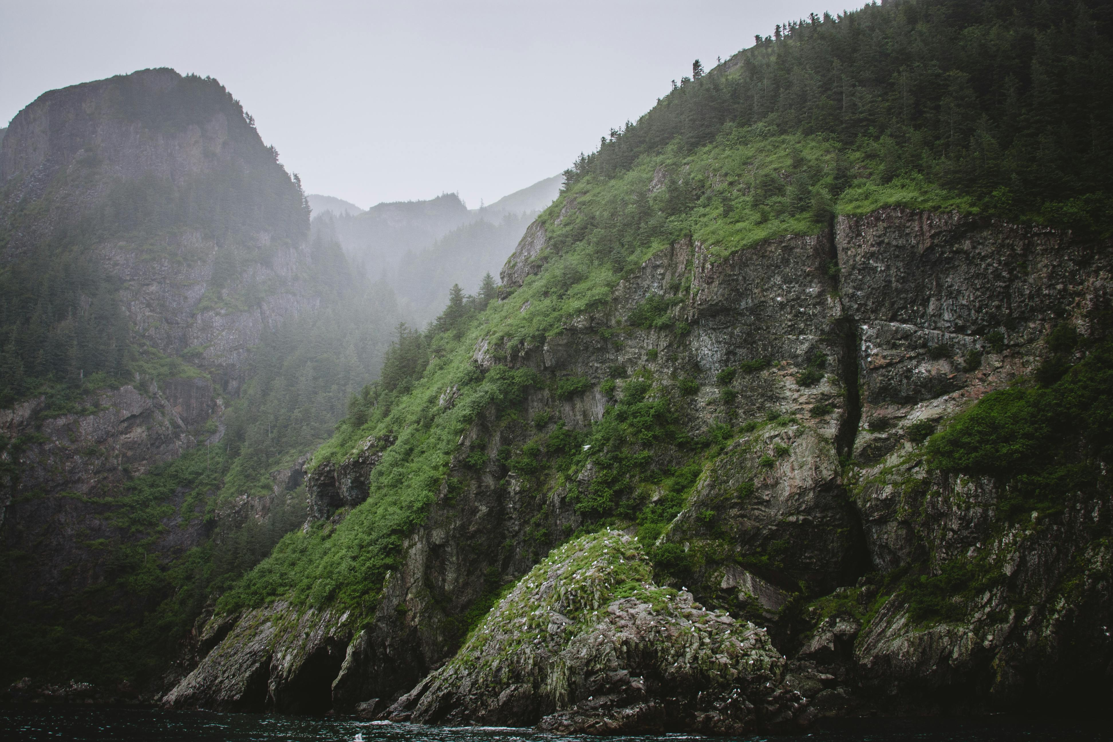 Verdant Alaskan Cliffs · Free Stock Photo