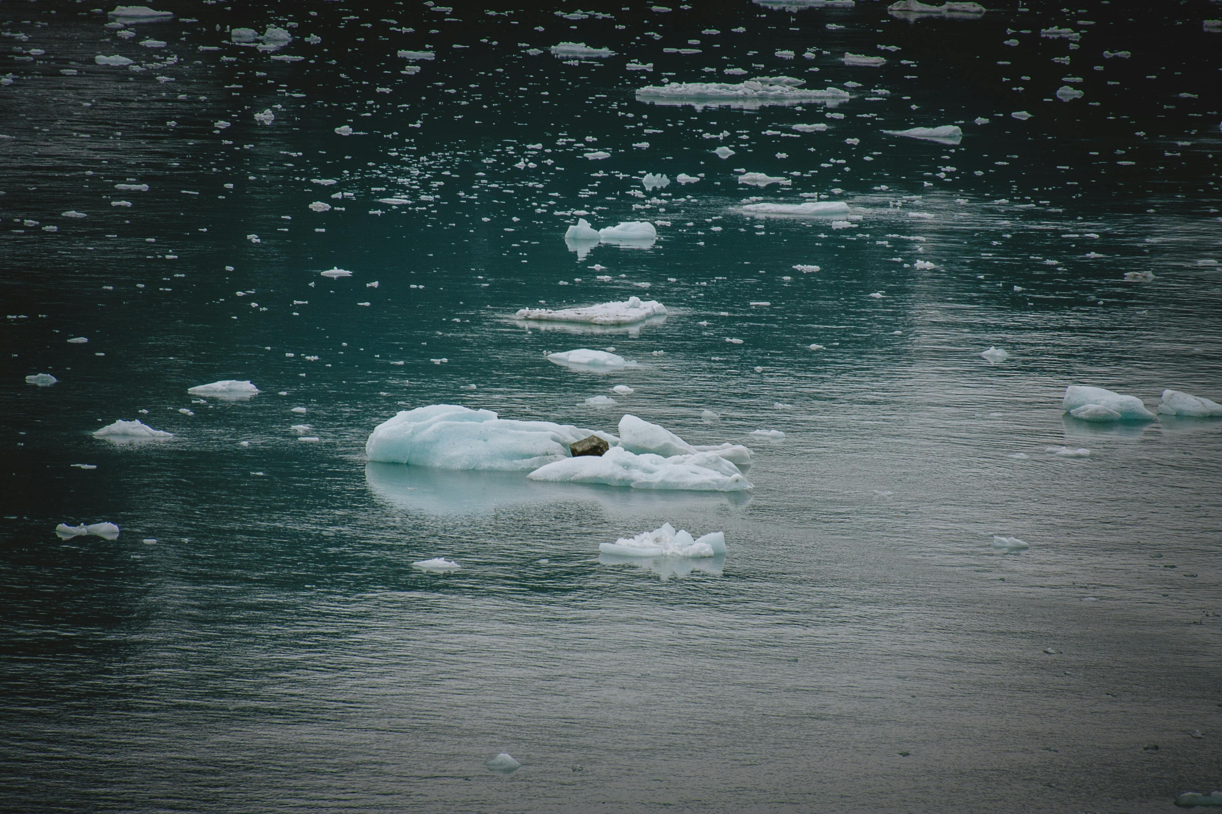 Floating Ice in Alaska's Pristine Waters · Free Stock Photo