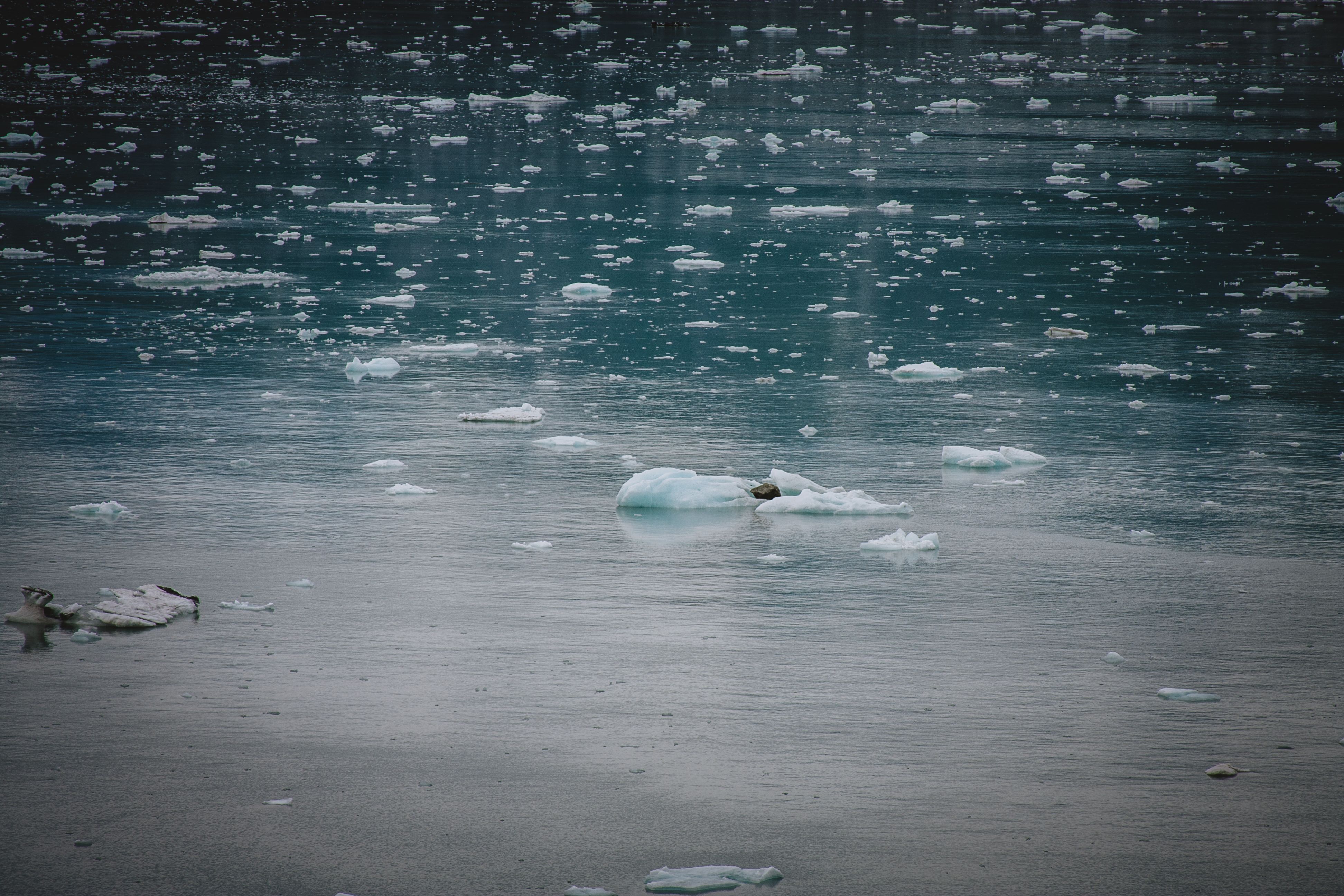 Ice Floes in Alaska's Pristine Waters · Free Stock Photo