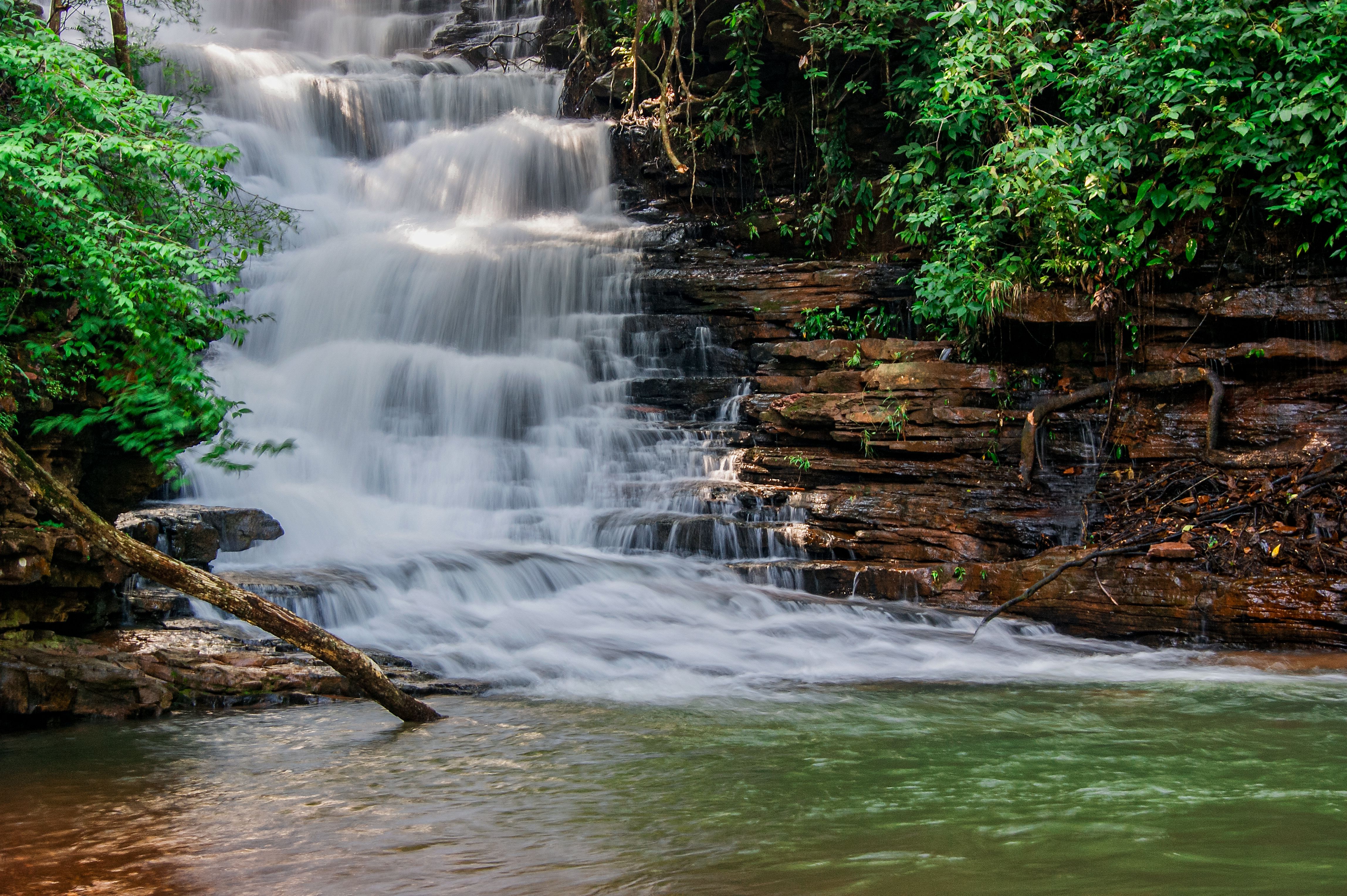 Water Cascading Rock in Forest · Free Stock Photo