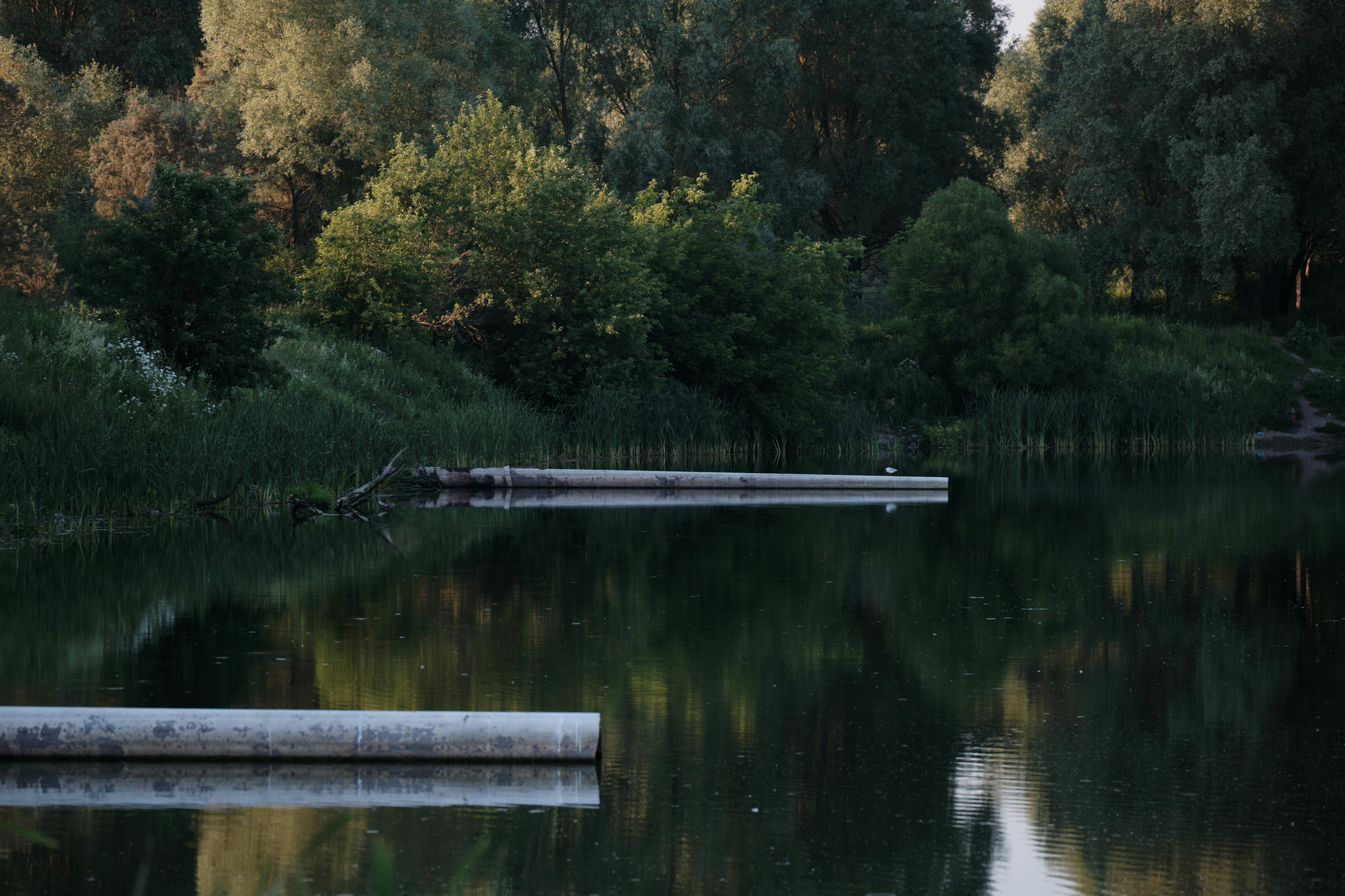 Pipes on Lake · Free Stock Photo