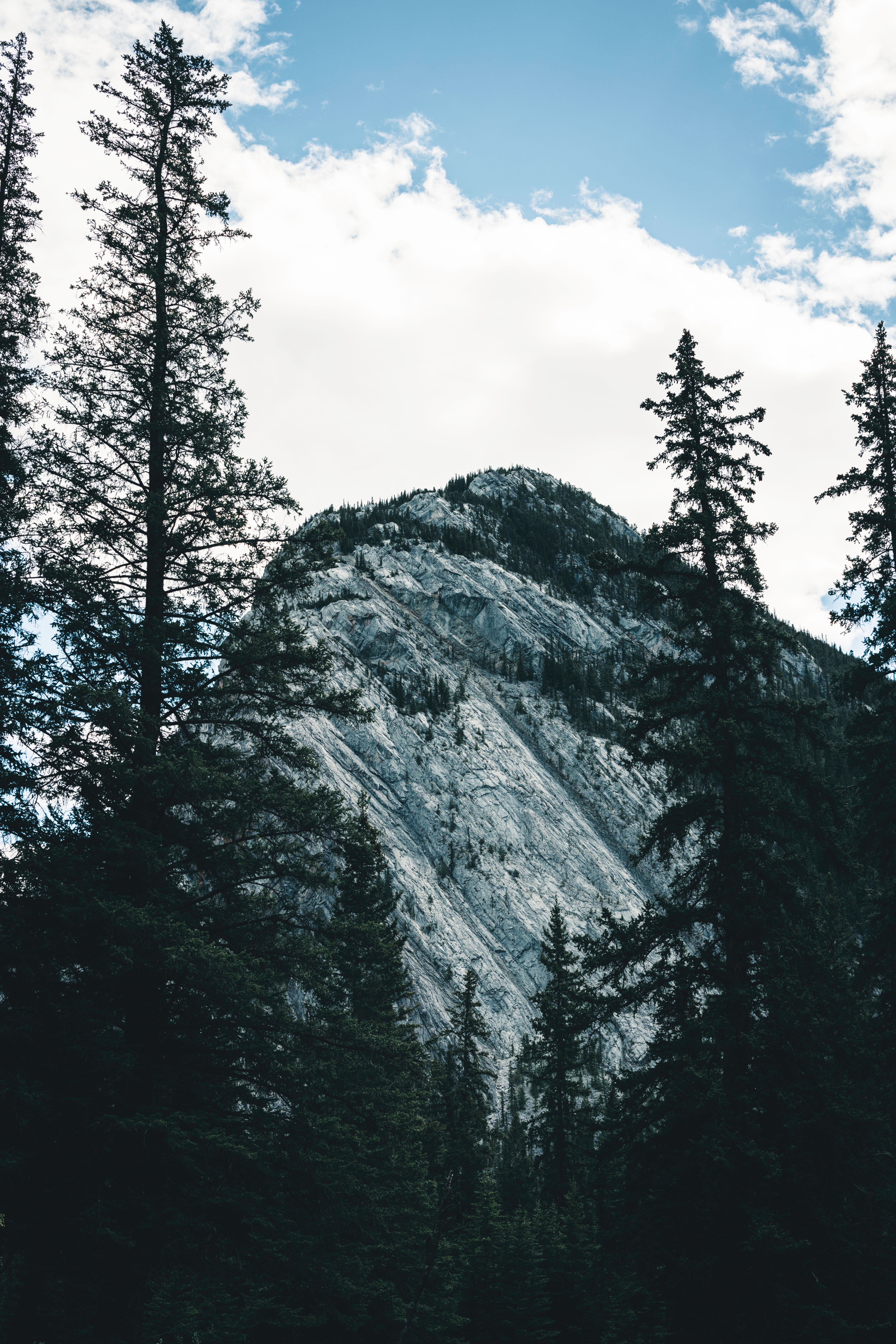 Gray Mountain · Free Stock Photo