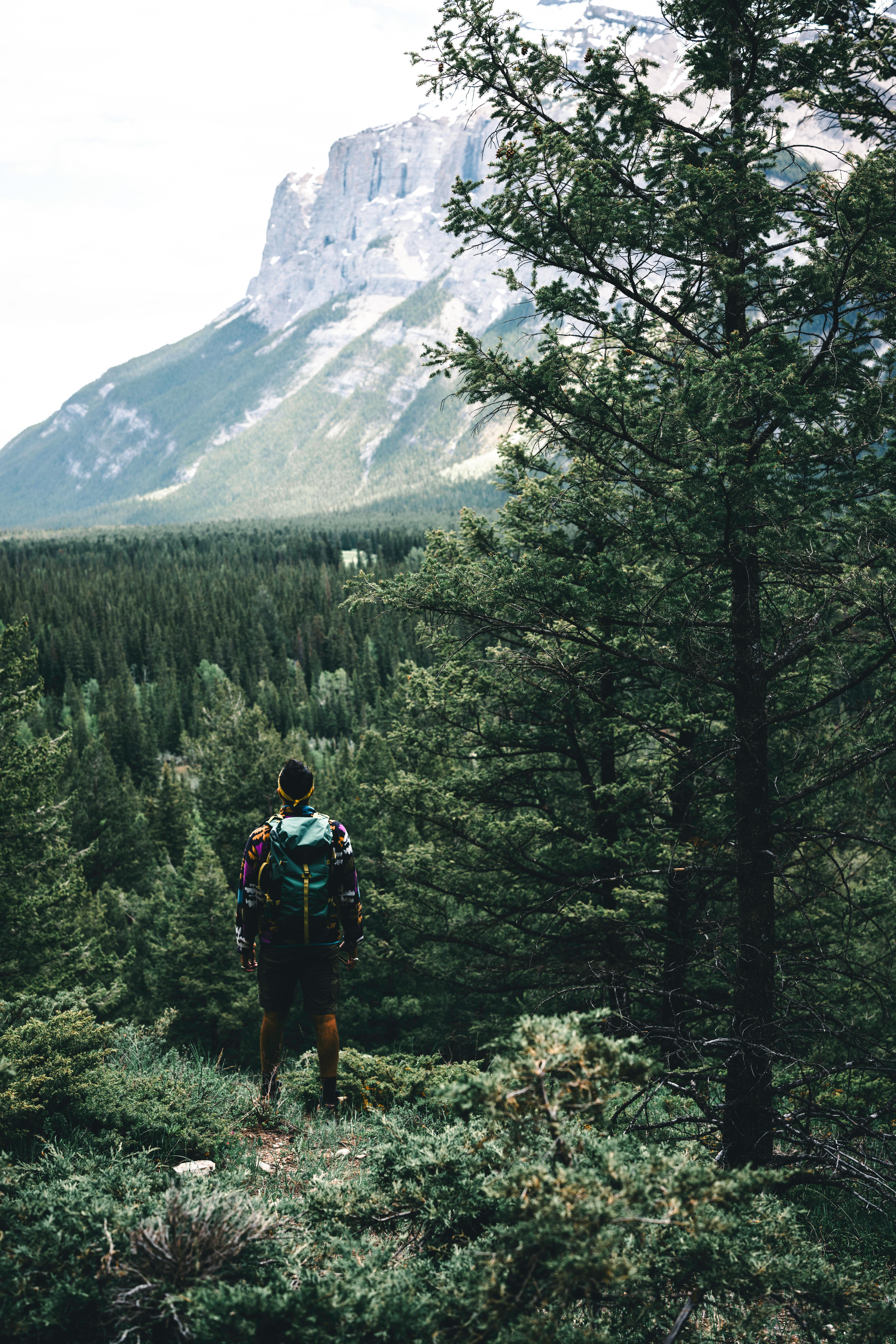 Man Hiking in Forest in Mountains · Free Stock Photo