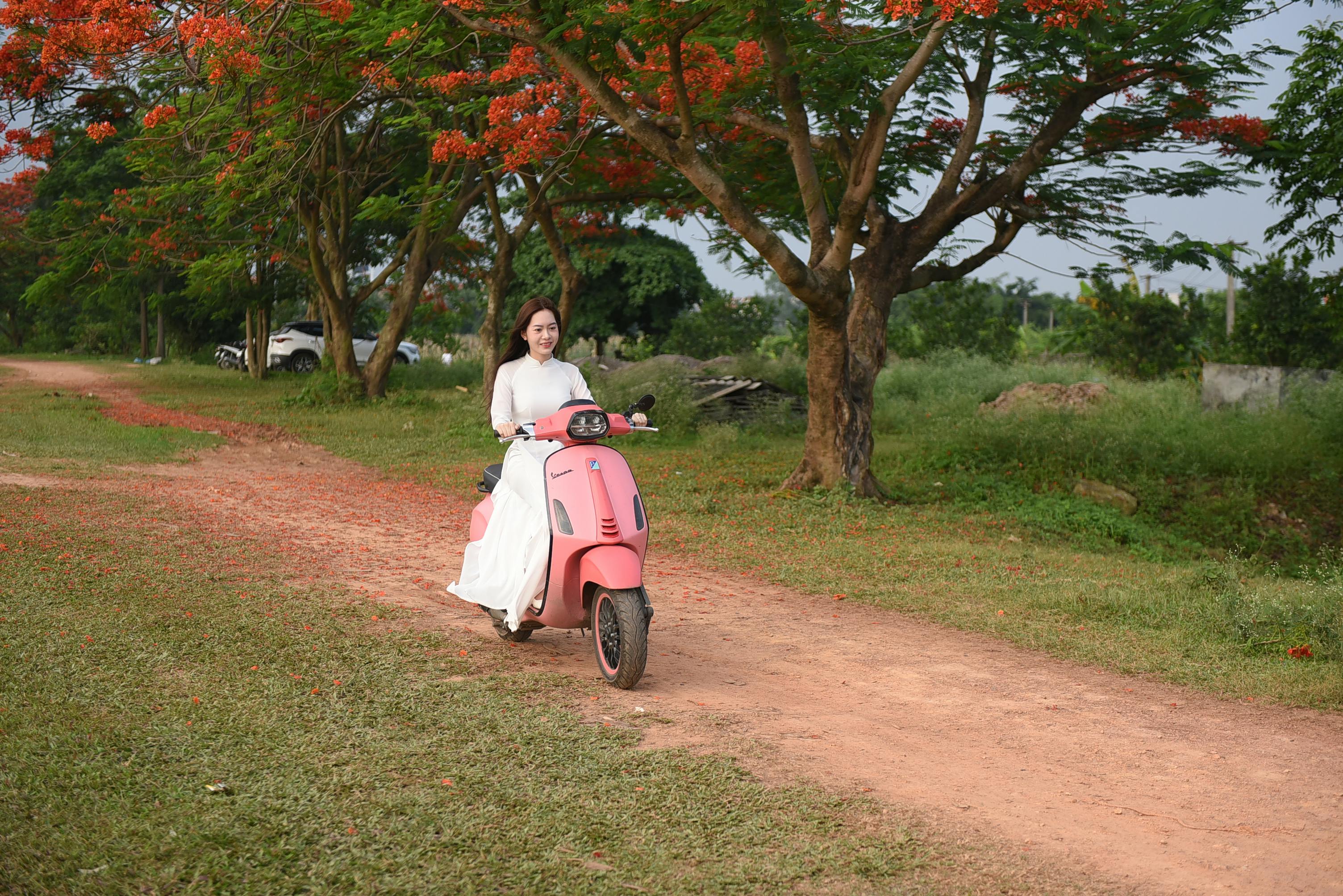 Woman Riding Motor Scooter in Countryside · Free Stock Photo