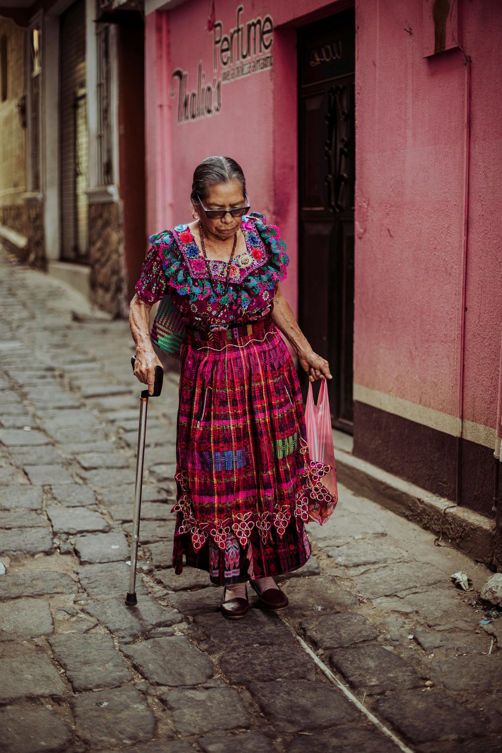 Cane Photos, Download The BEST Free Cane Stock Photos & HD Images