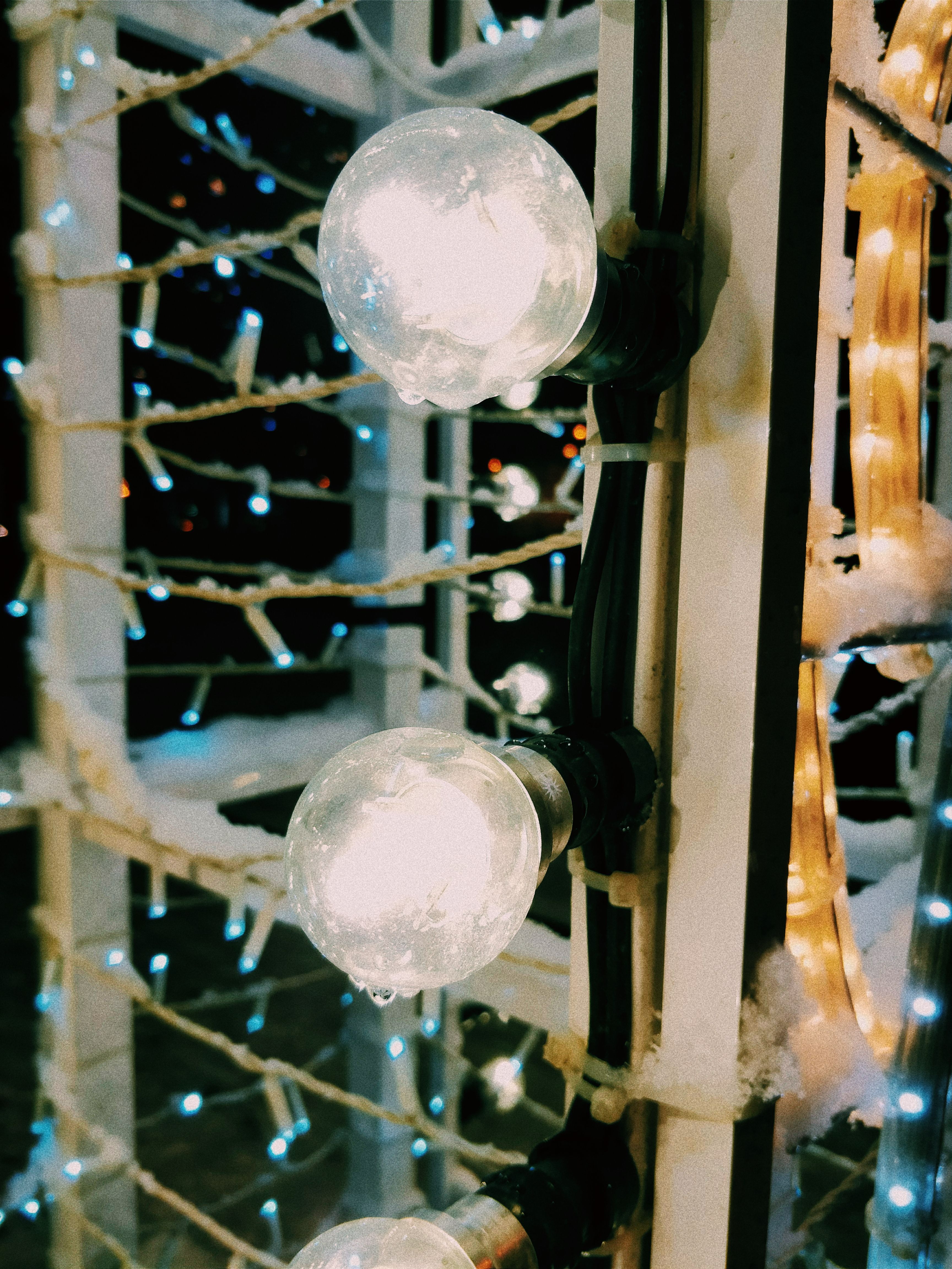 Max Petrov - 写真