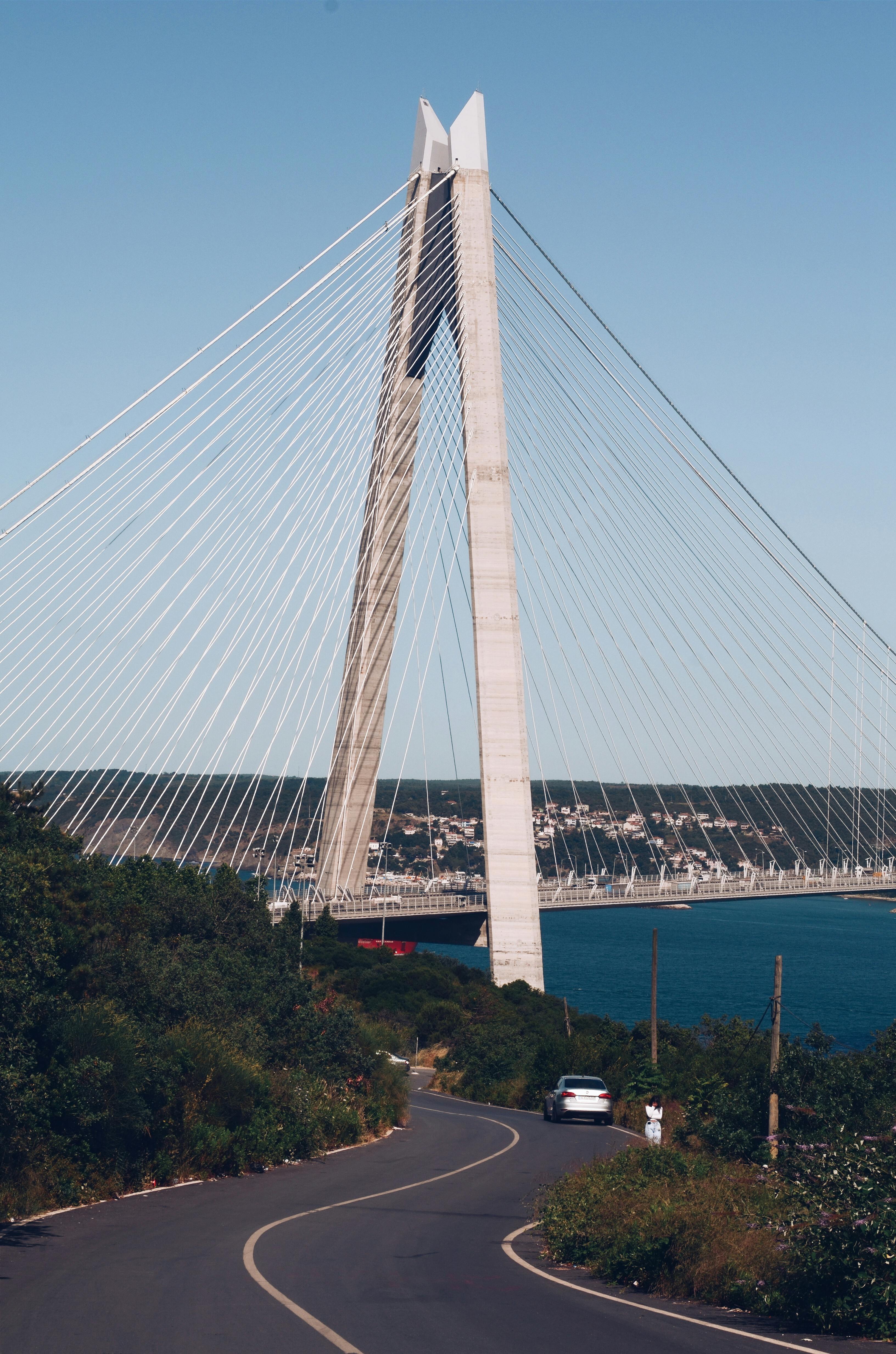 Gray Bridge Near Green Leaf Trees · Free Stock Photo