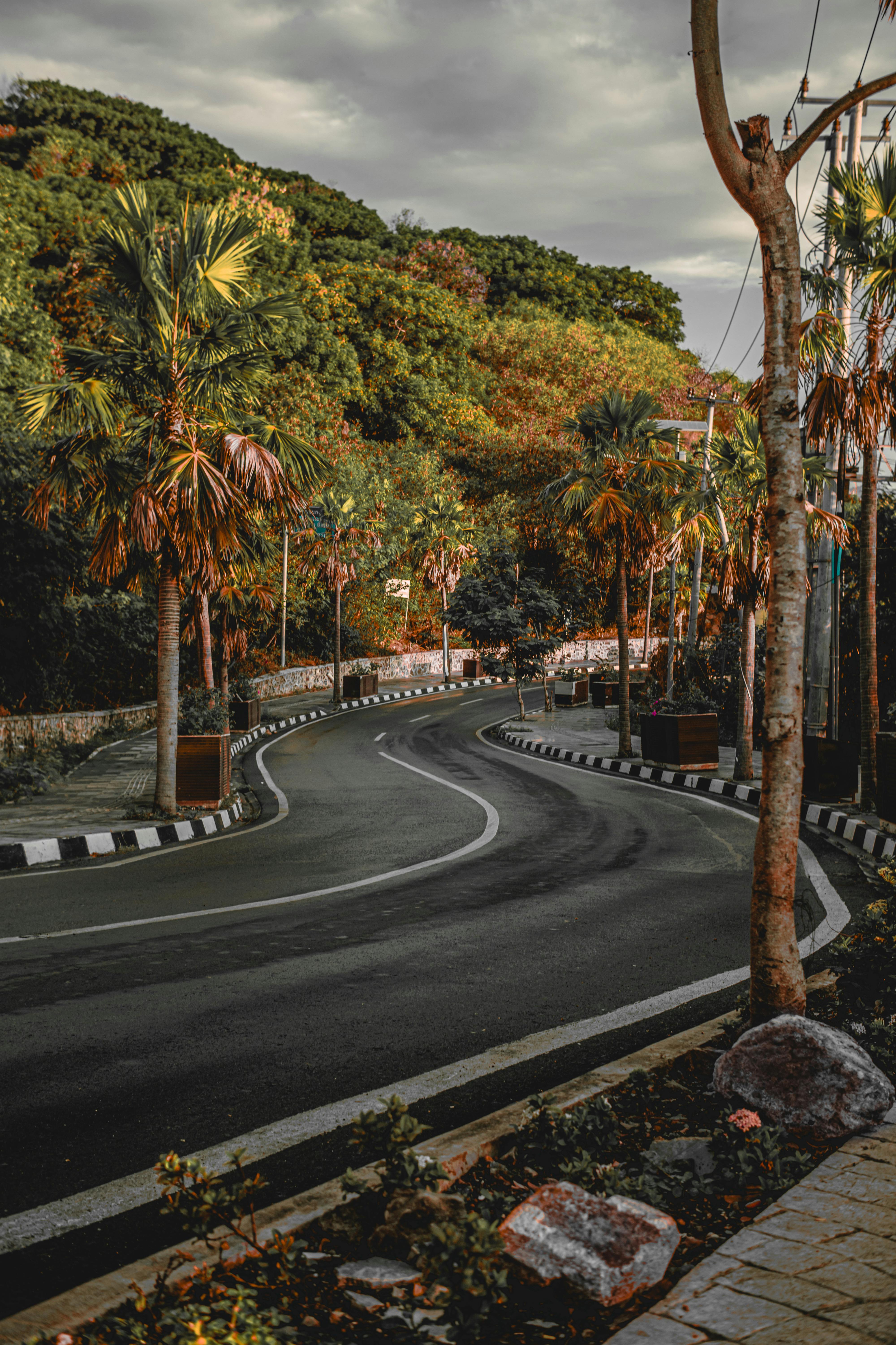 S Curve Road · Free Stock Photo