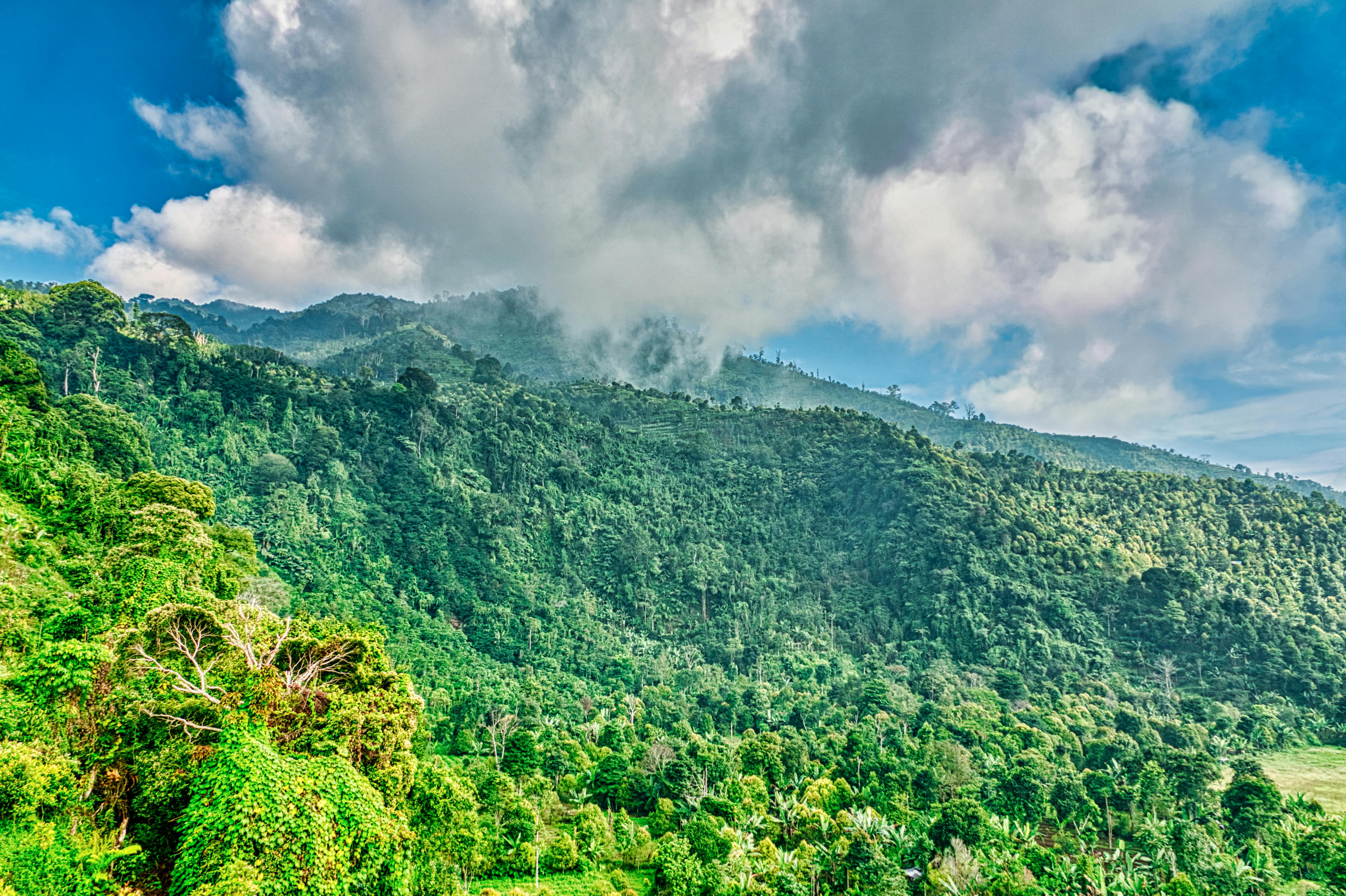 Free stock photo of bright, cloud, countryside