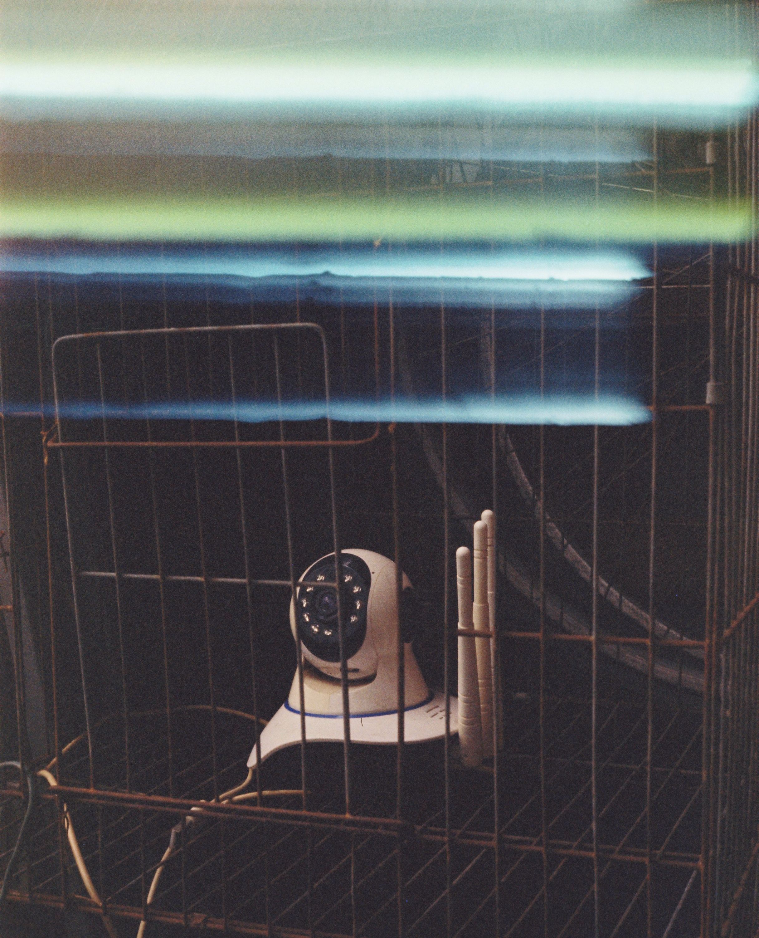 Digital Cage Photos, Download The BEST Free Digital Cage Stock Photos ...
