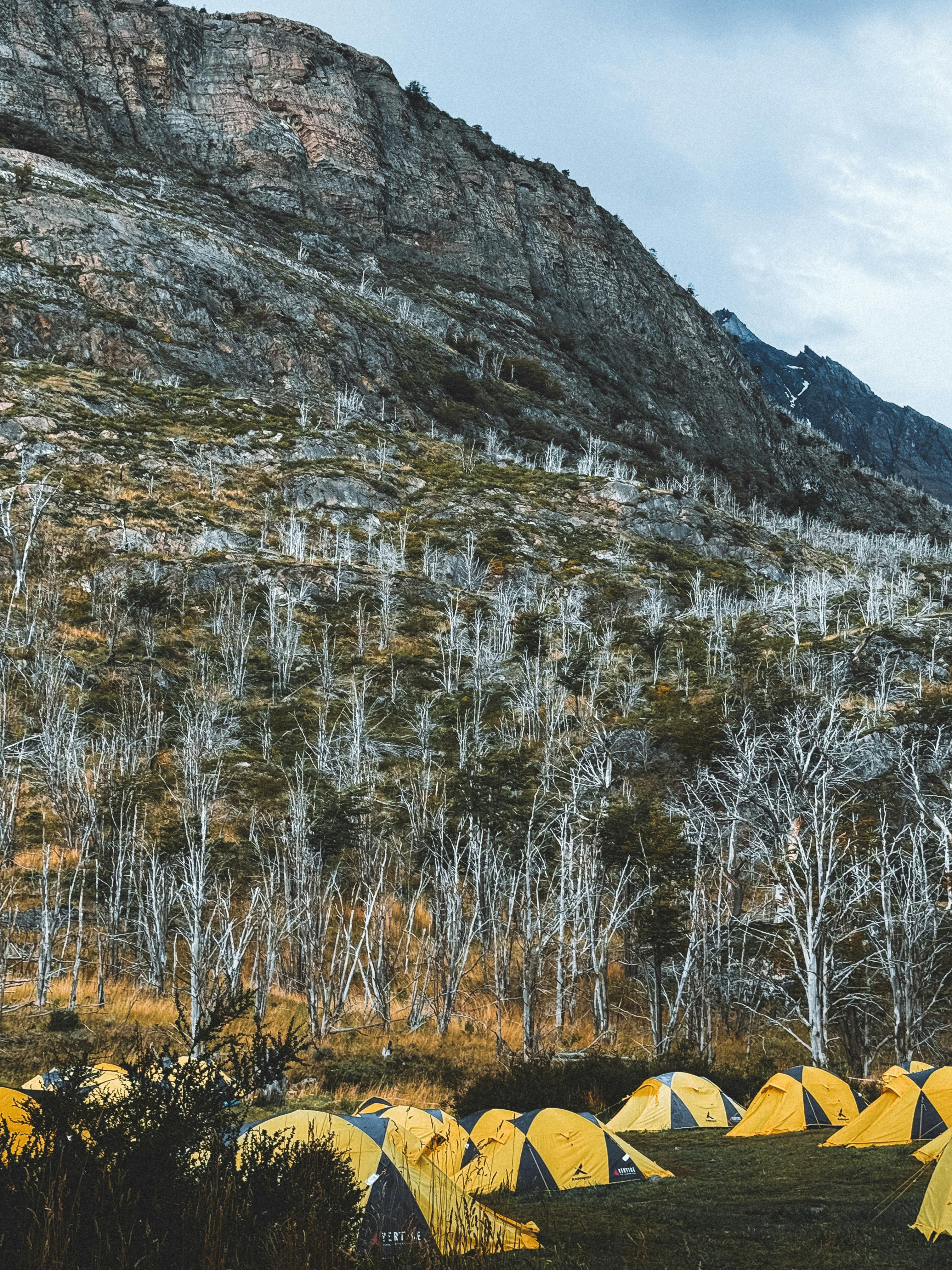 Camping in Forest under Mountain · Free Stock Photo