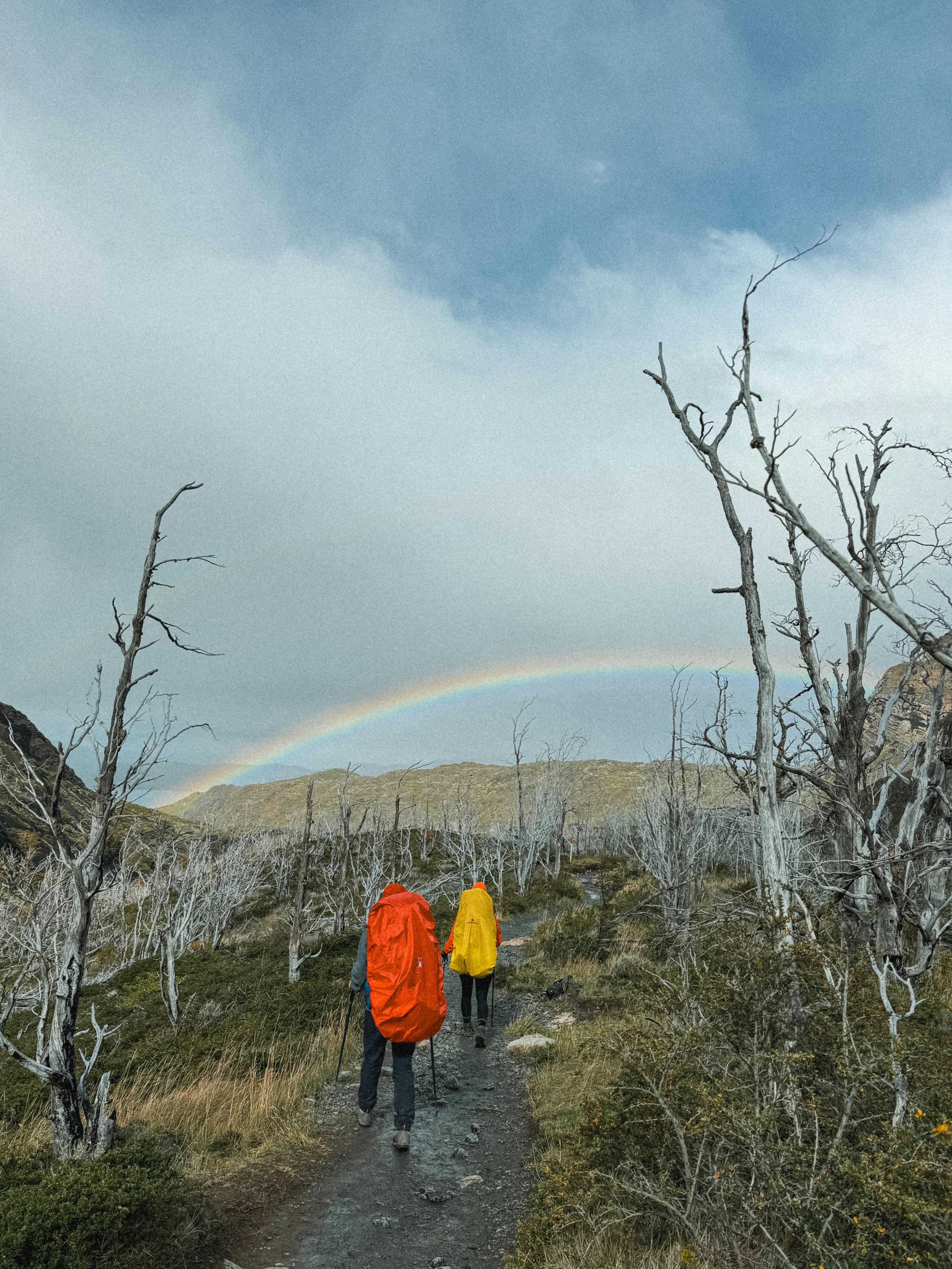 Cloud Human Photos, Download The BEST Free Cloud Human Stock Photos ...