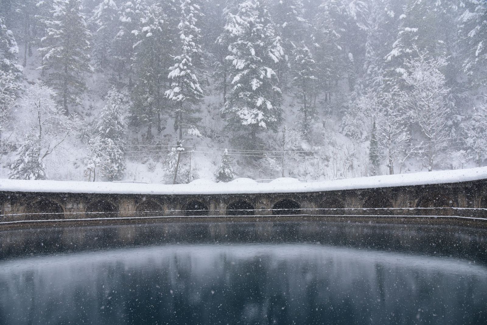 Snow Laden Trees Photos, Download The BEST Free Snow Laden Trees Stock ...