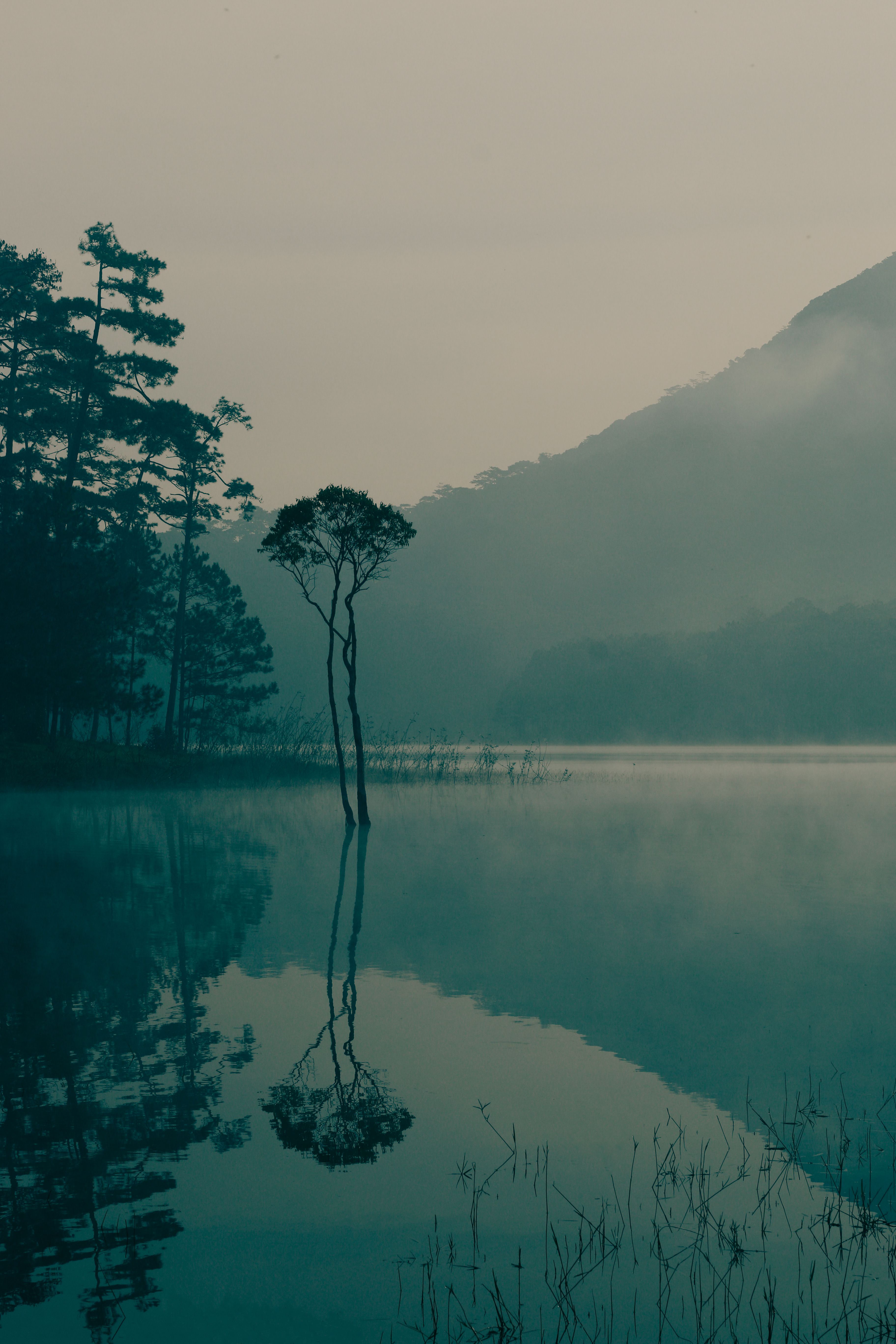 Scenic View of a Lake · Free Stock Photo