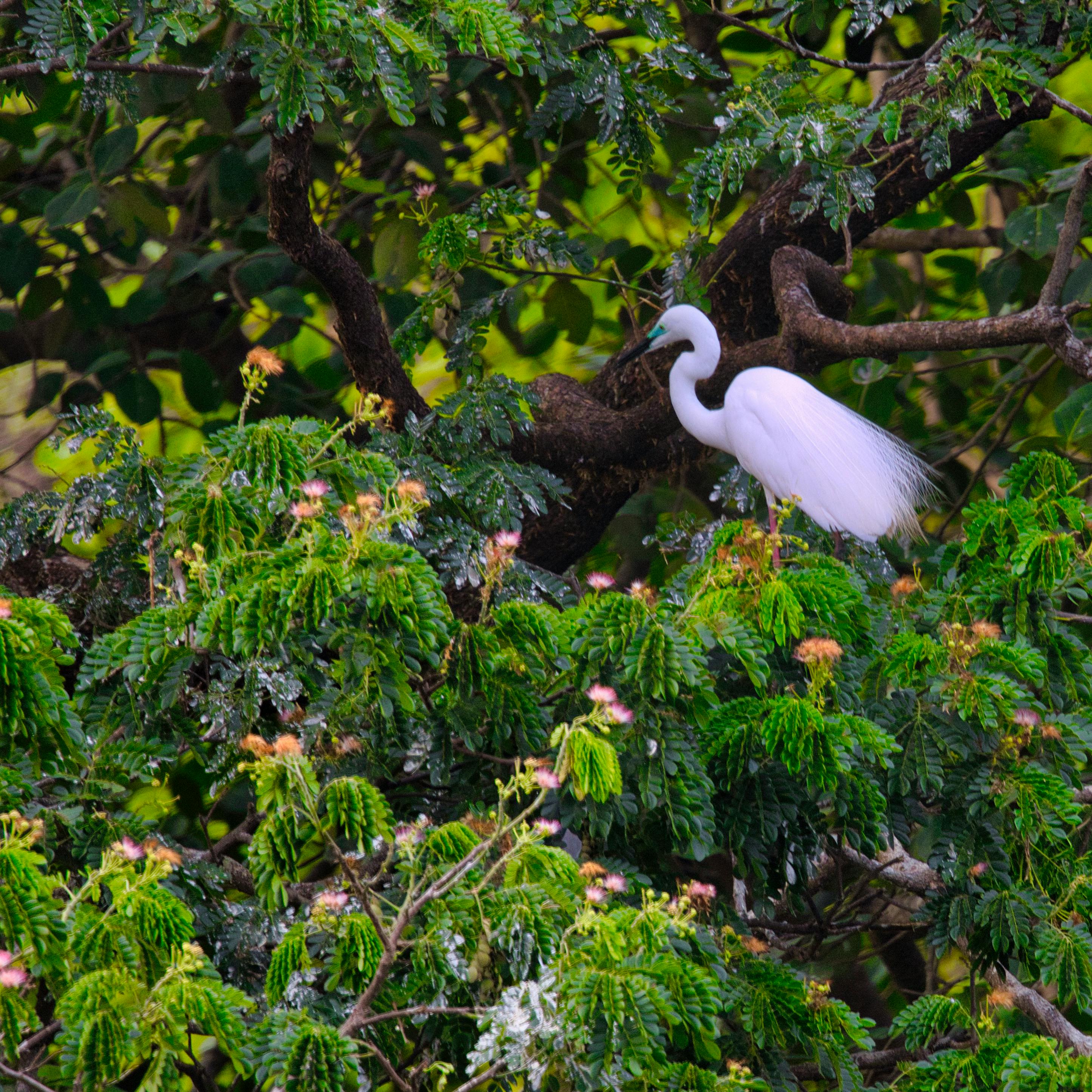 Planting A Tree Photos, Download The BEST Free Planting A Tree Stock ...