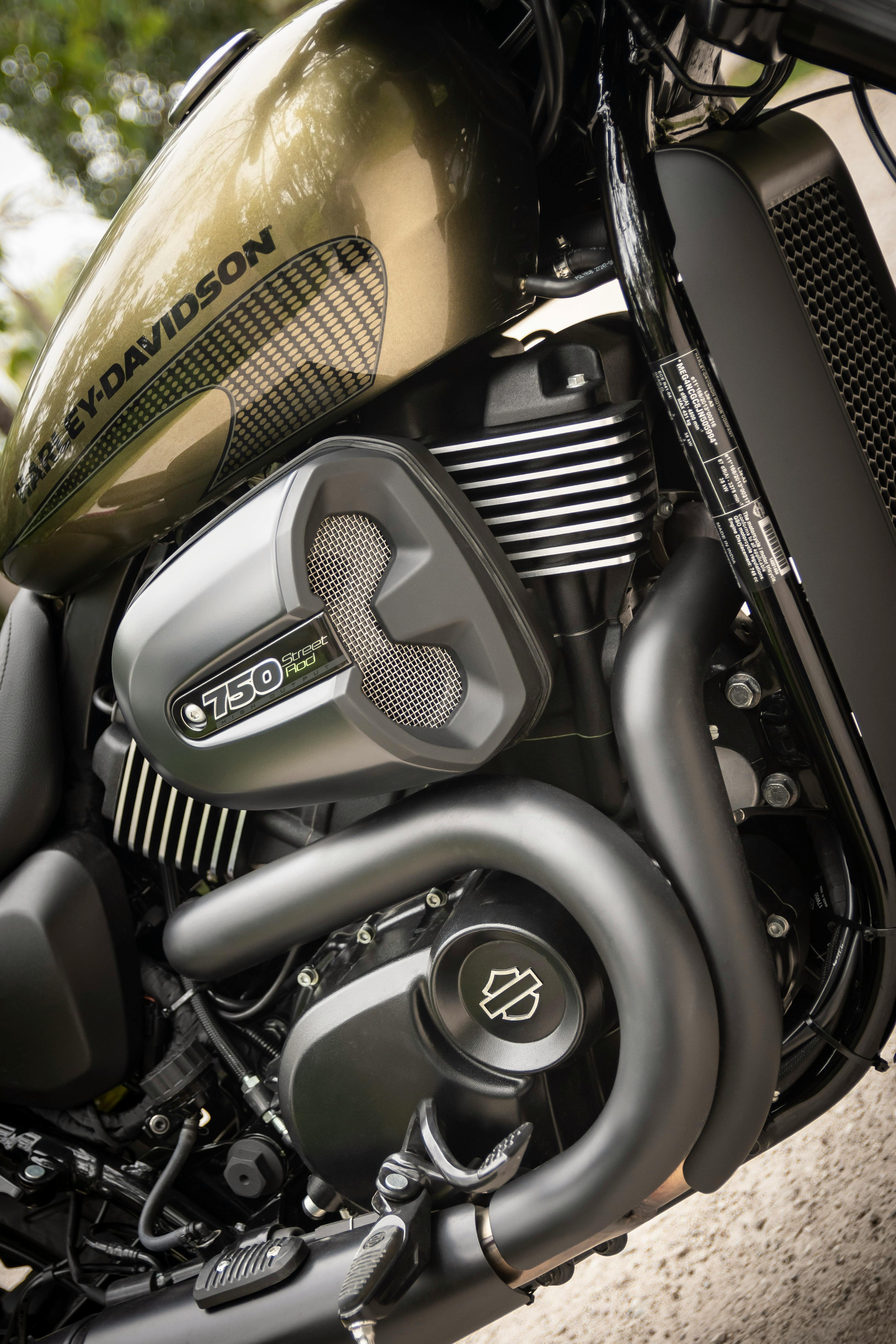 Harley Davidson Street Rod 7 Photos & Videos Collected by Javier Aguilera