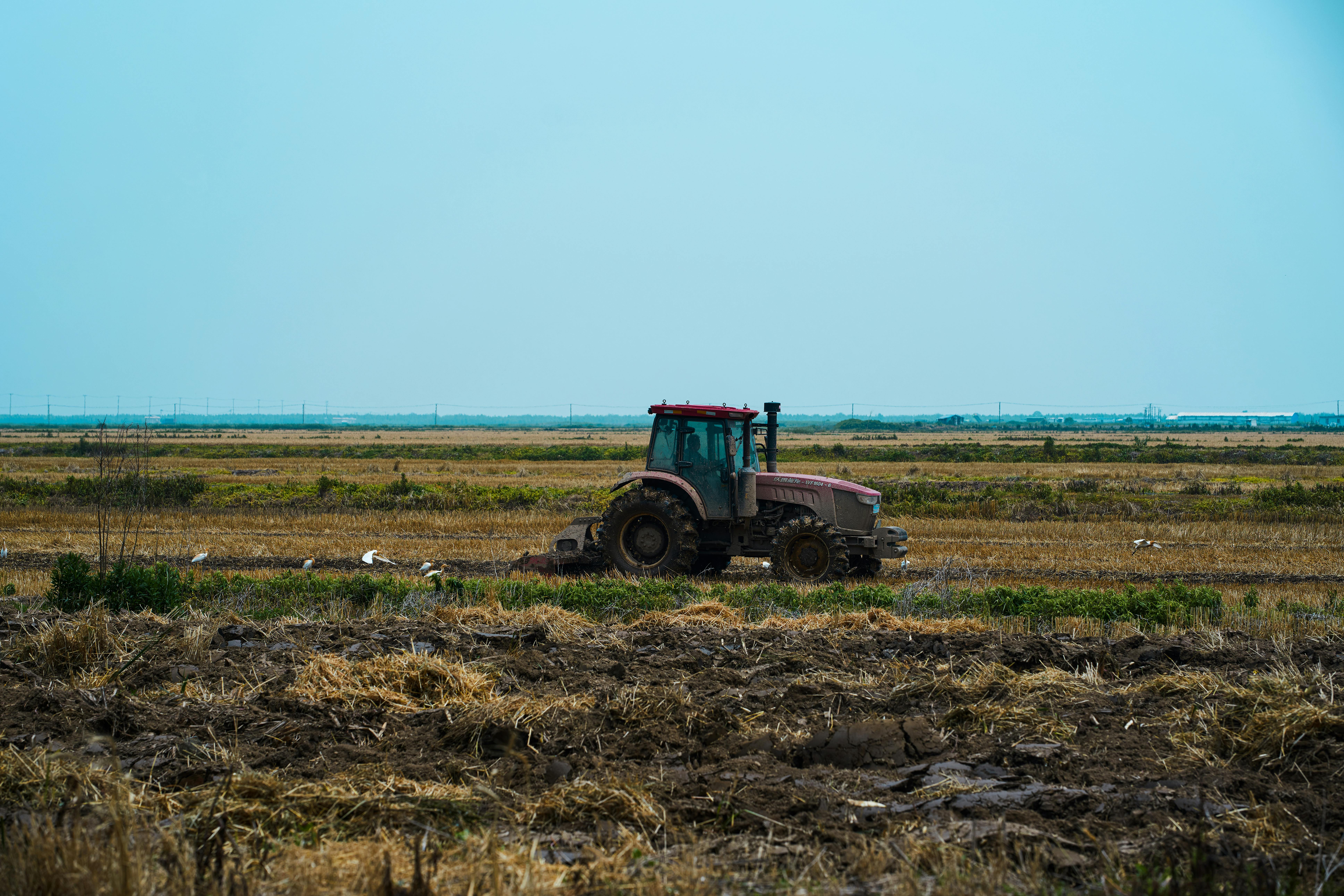 African Tilling Land With Tractor Photos, Download The BEST Free ...