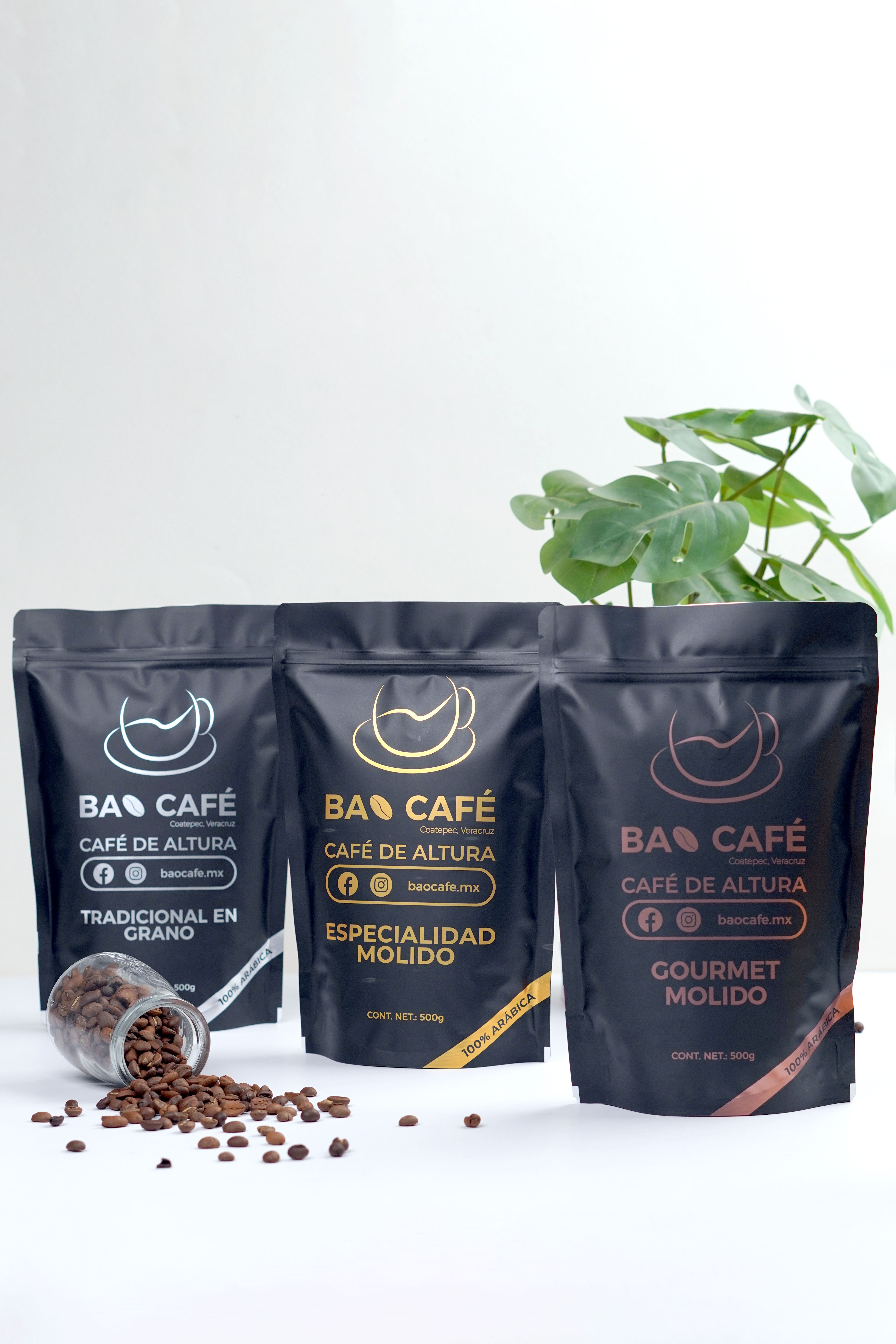 Bags and Coffee Beans · Free Stock Photo
