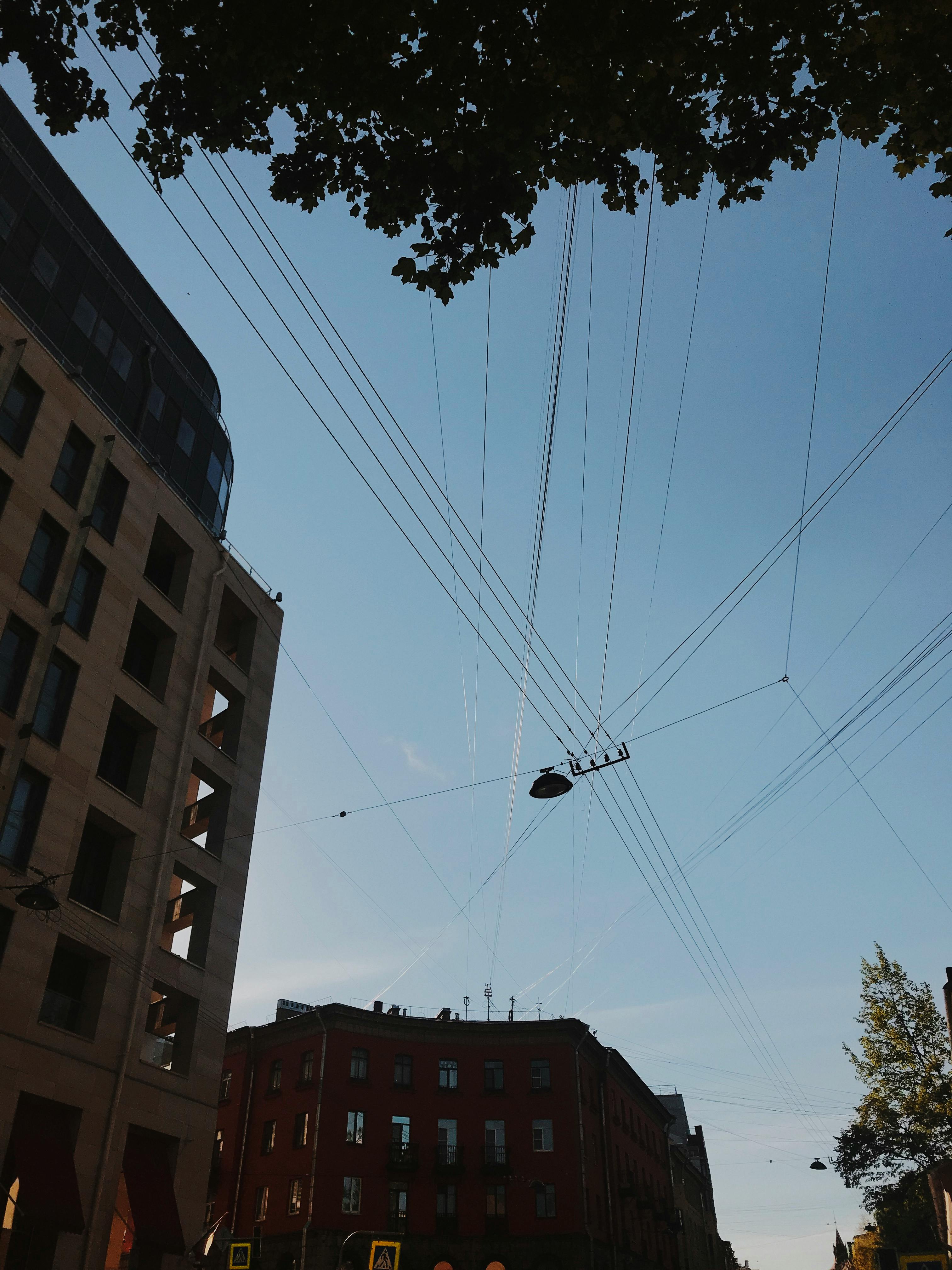 Cables Above Buildings · Free Stock Photo