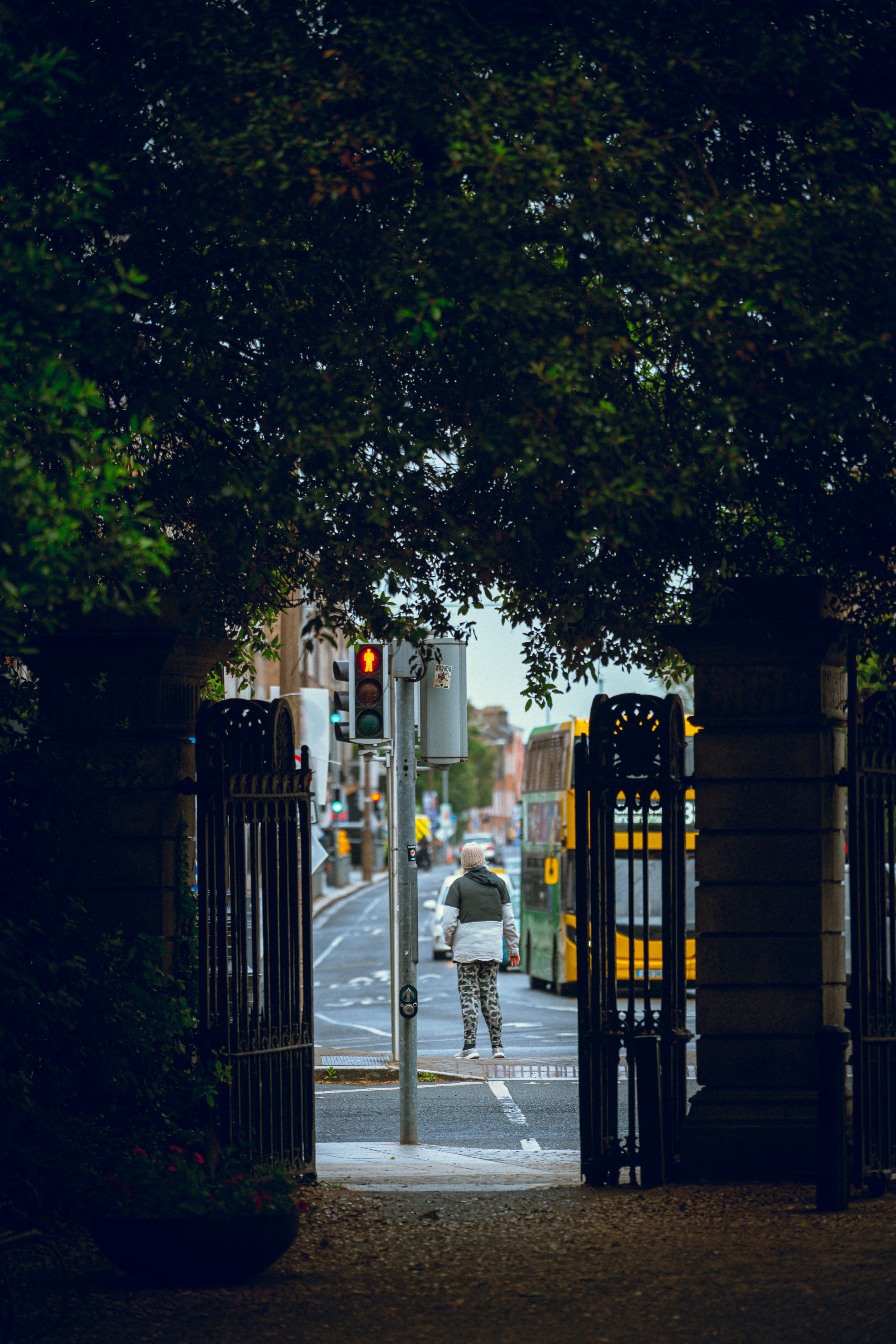 Person Standing behind Park Gate · Free Stock Photo