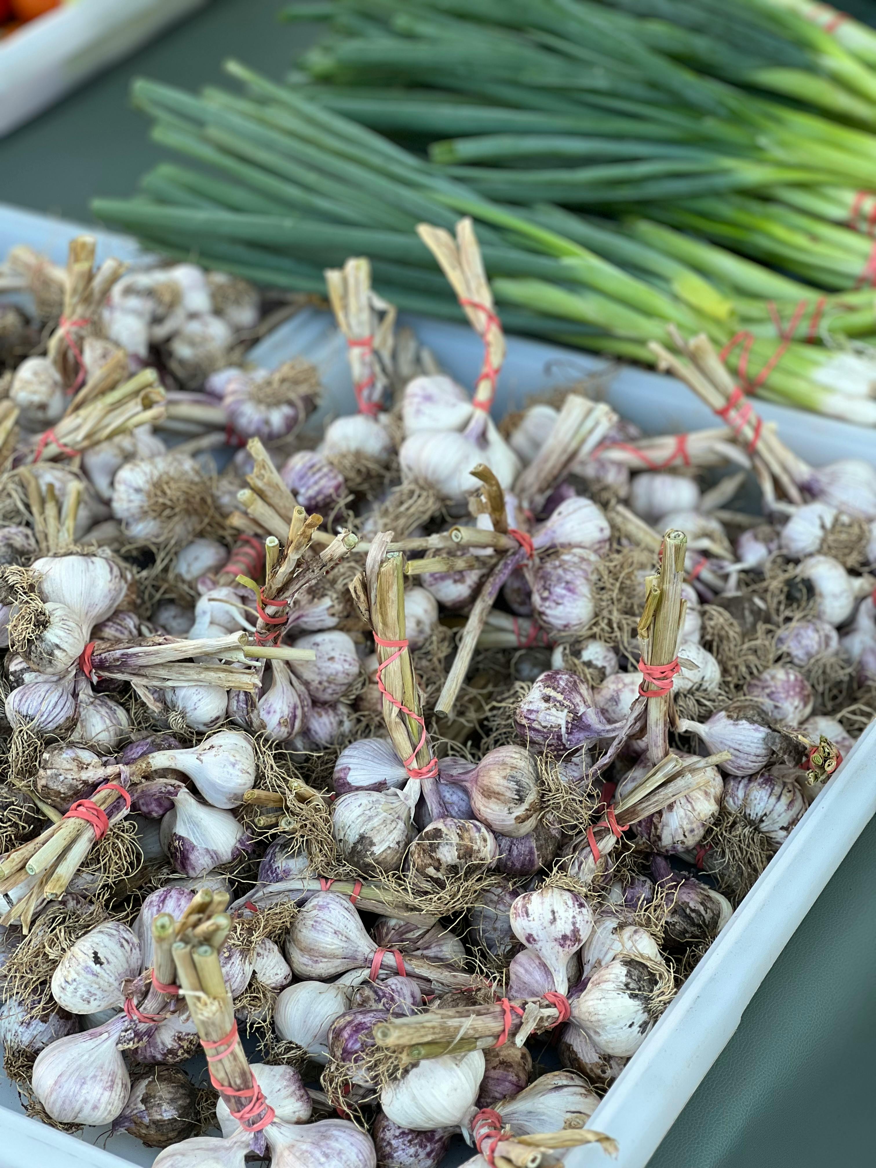 Relish Photos, Download The BEST Free Relish Stock Photos & HD Images