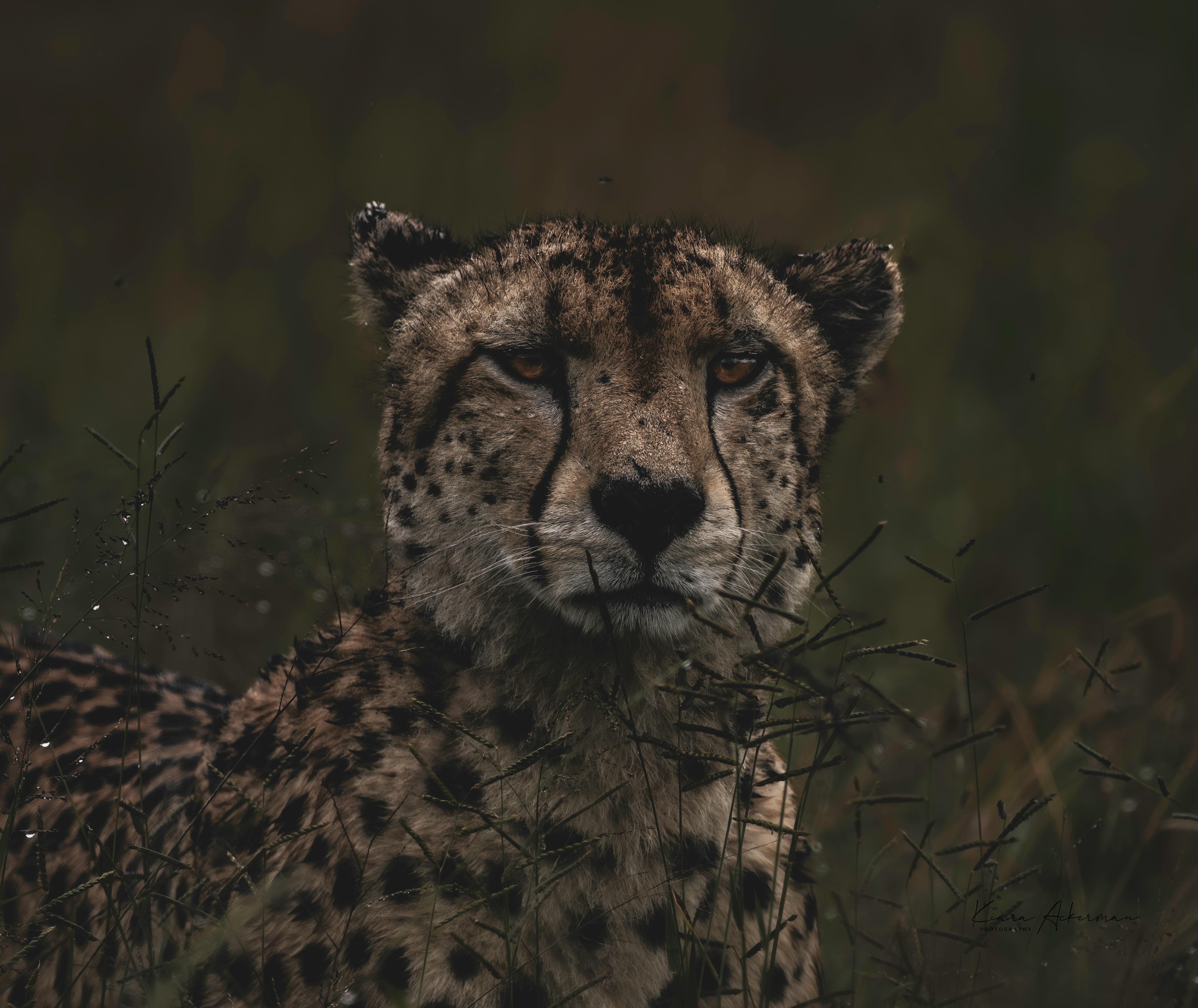 Bns Photos, Download The BEST Free Bns Stock Photos & HD Images